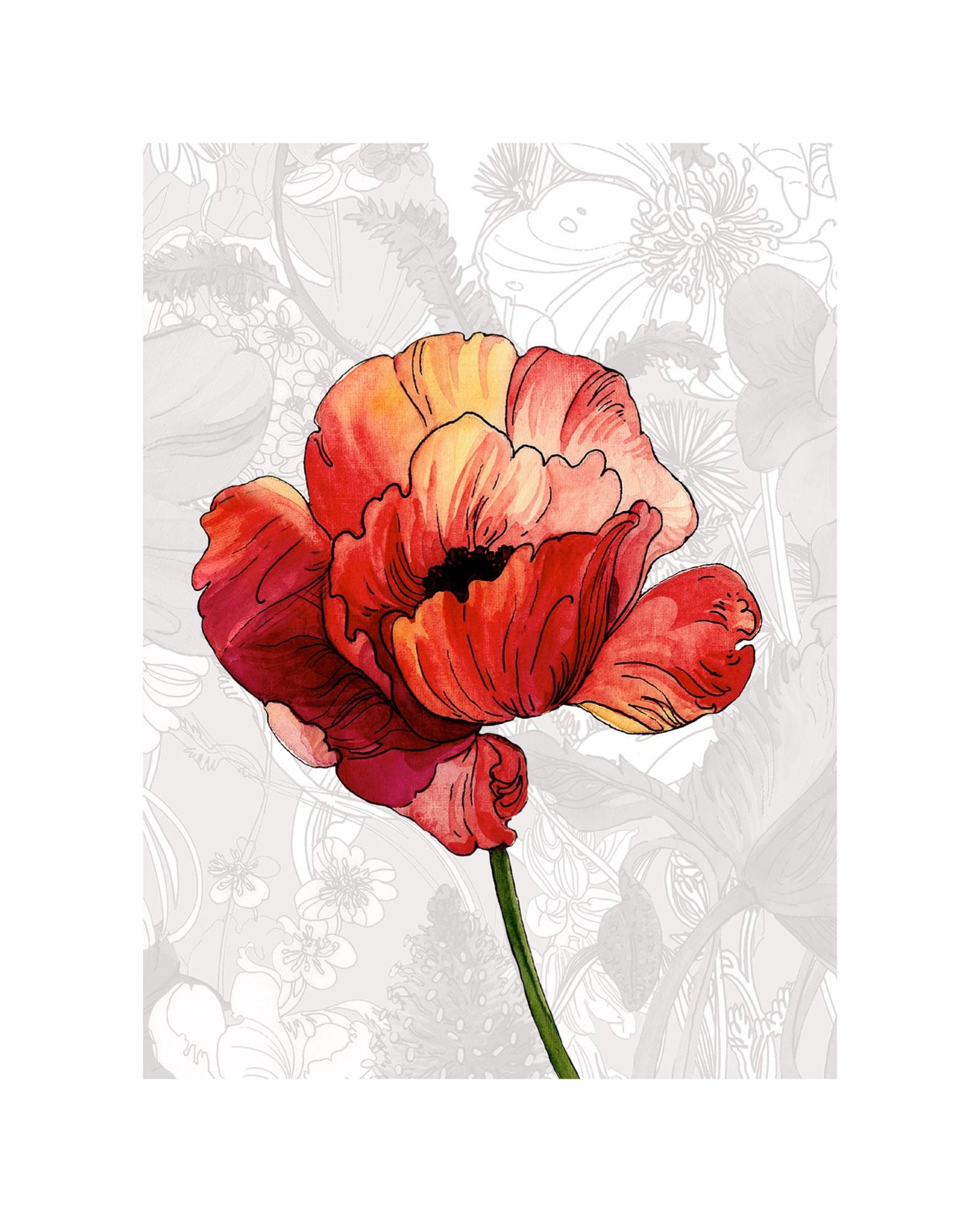 Affiche Fleur, rouge KOMAR l.40 x H.50 cm | Leroy Merlin