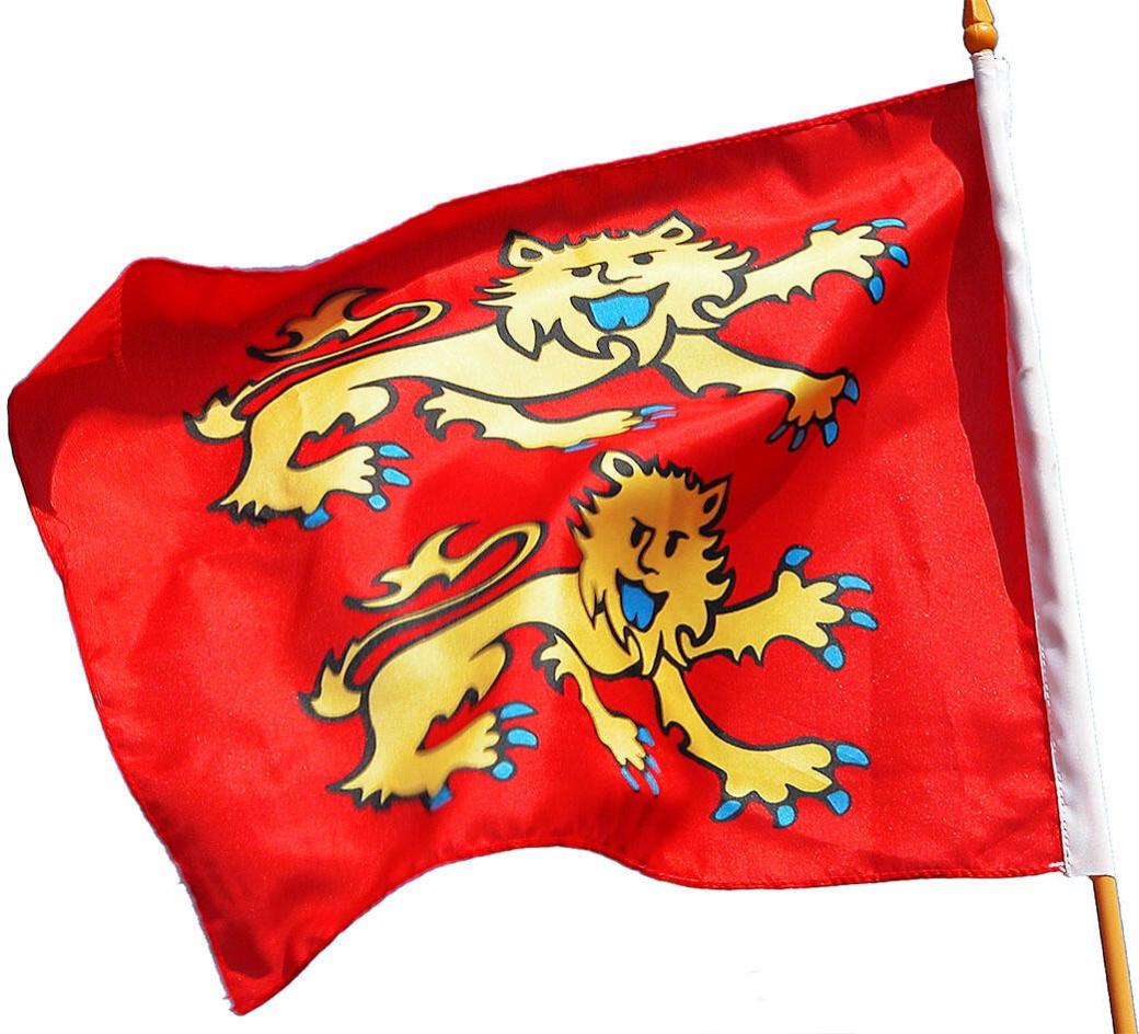 Drapeaux Normandie L.9 X H.35 Cm | Leroy Merlin