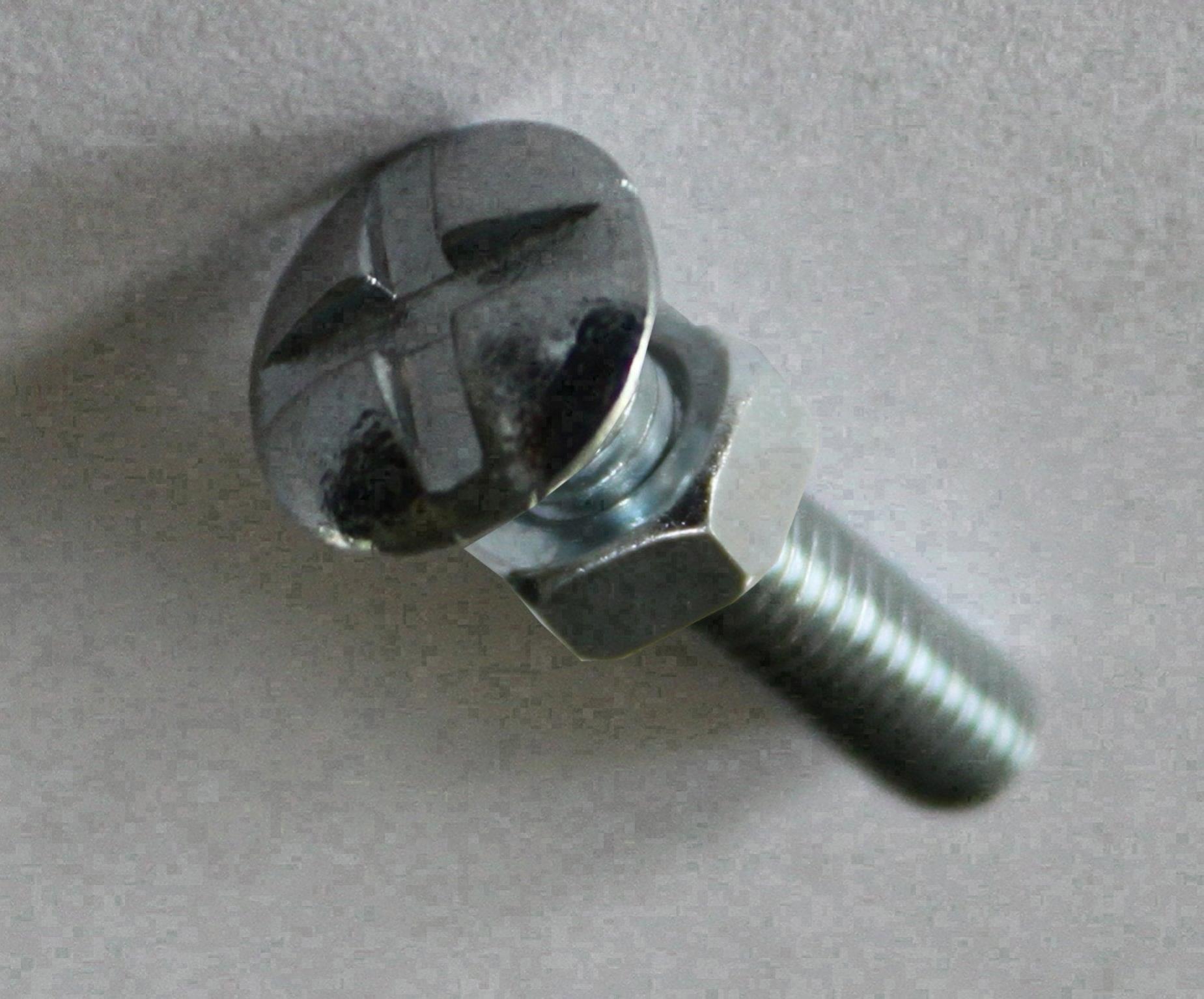 Bullone e vite metrica testa tonda L 20 x Ø M6 mm, 10 pezzi | Leroy Merlin