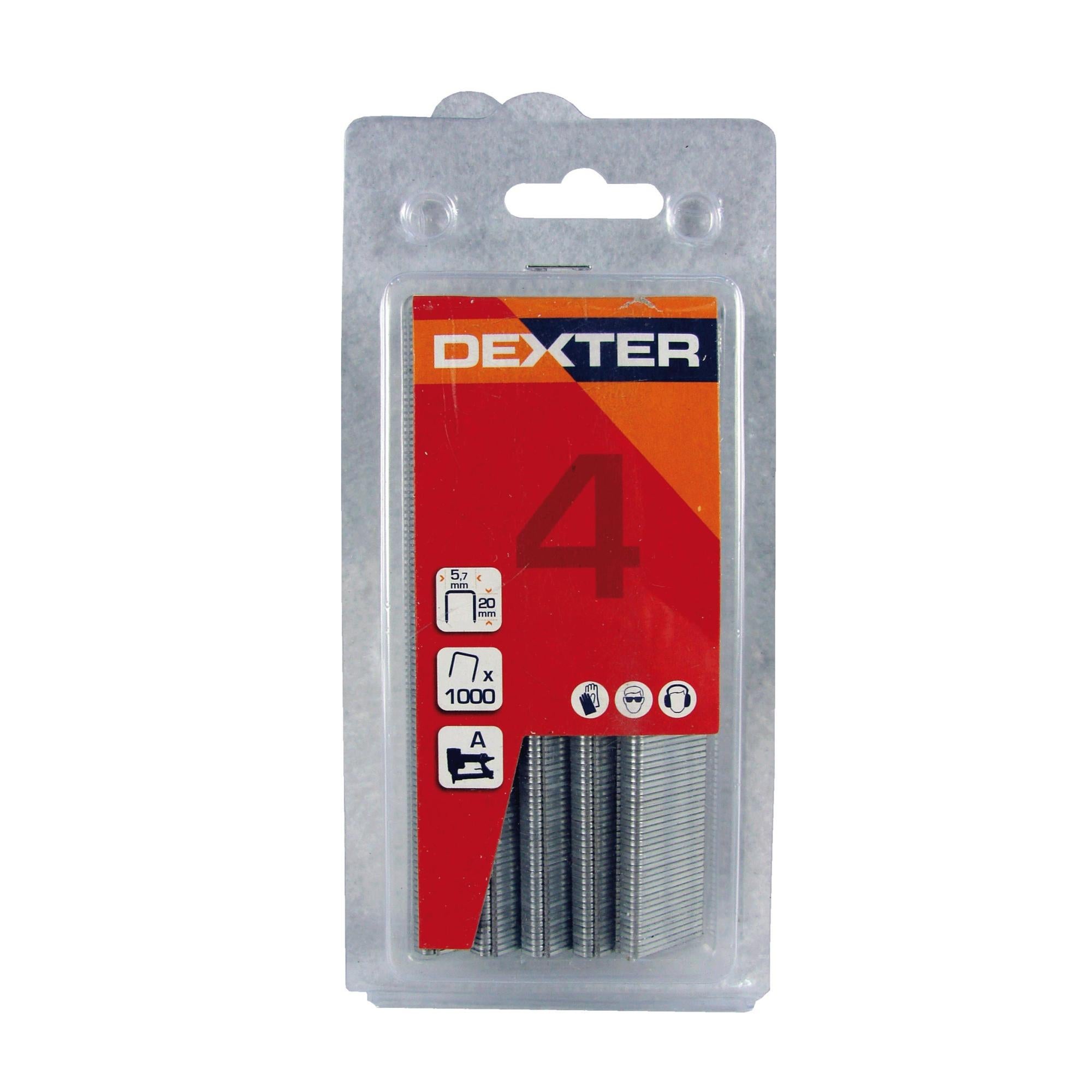 Graffa DEXTER L 5.7 mm H 2 cm 1000 pezzi | Leroy Merlin