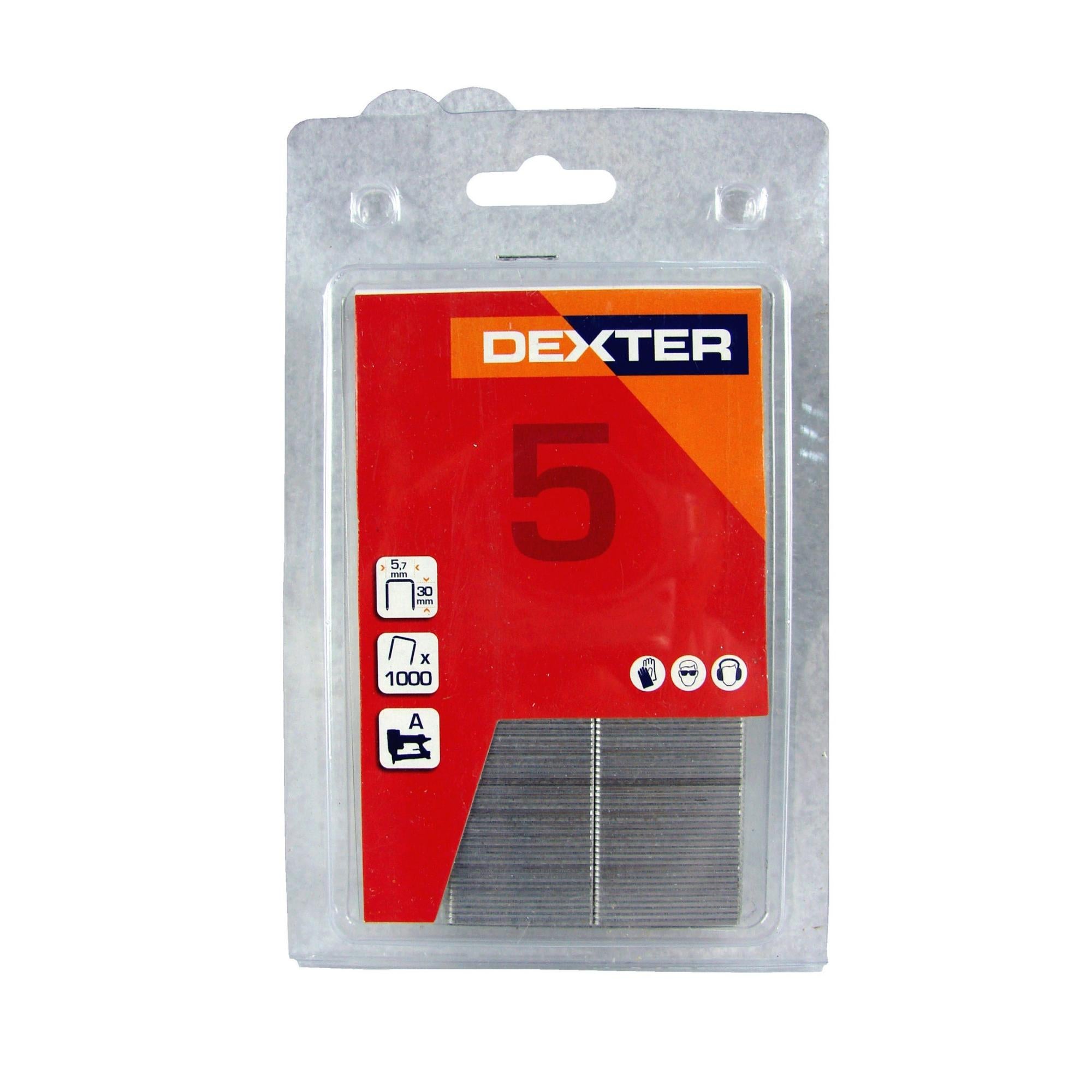 Graffa DEXTER L 5.7 mm H 3 cm 1000 pezzi | Leroy Merlin