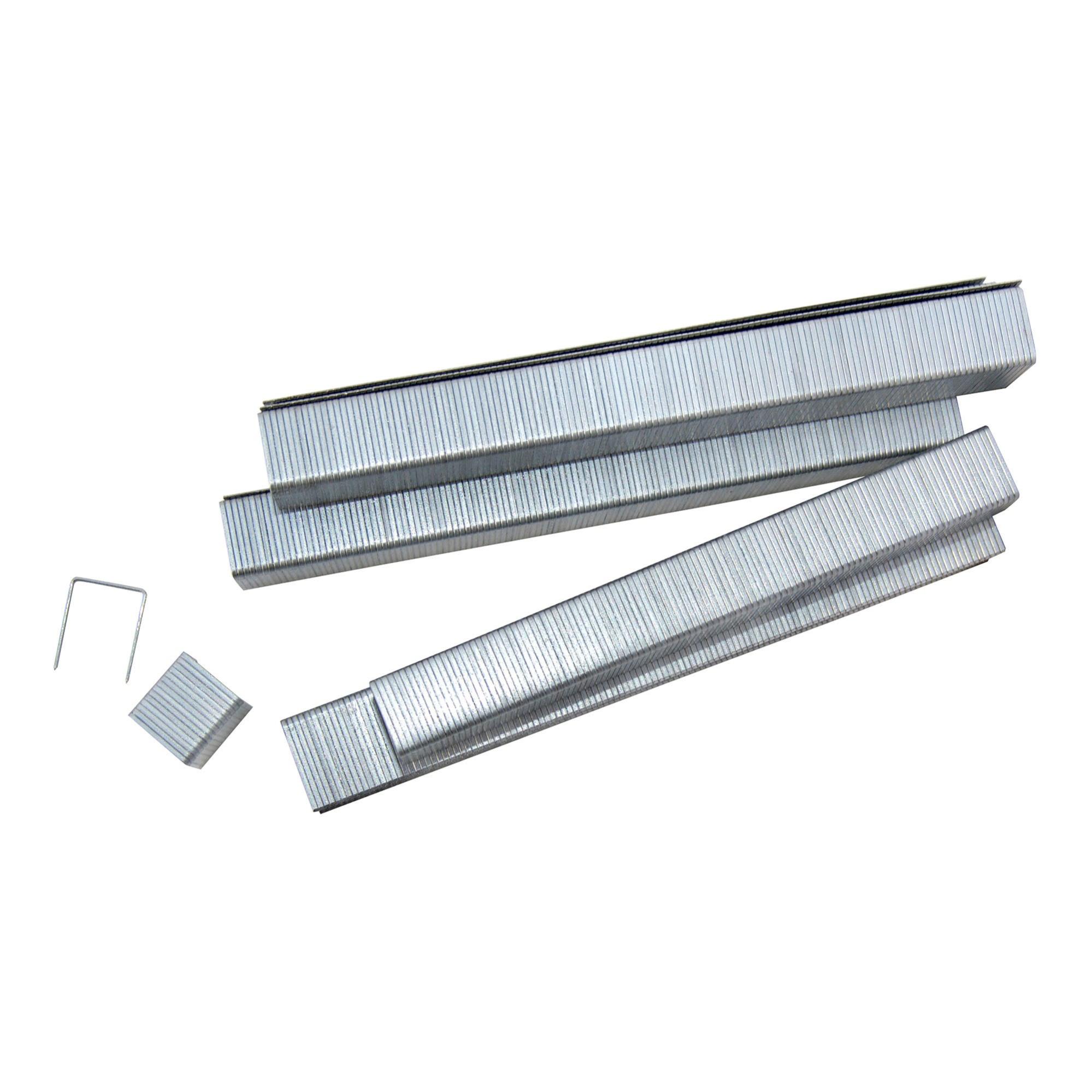 Clip DEXTER L 12.8 mm H 1.6 cm 1000 pezzi | Leroy Merlin