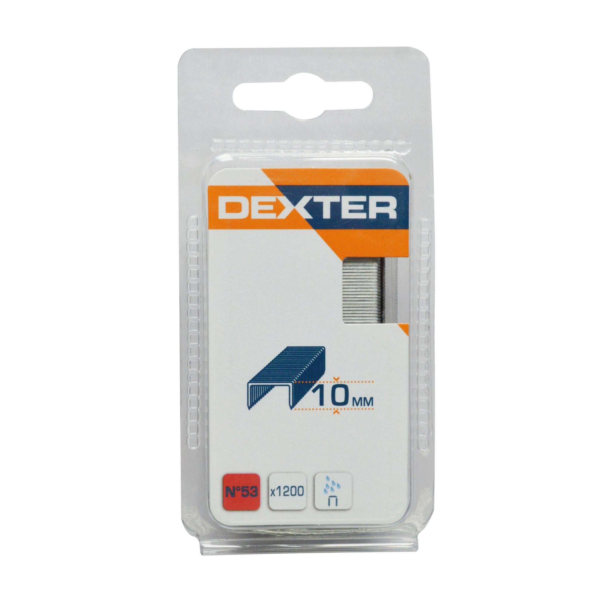 Clip DEXTER L 10 mm H 10 cm 1200 pezzi | Leroy Merlin