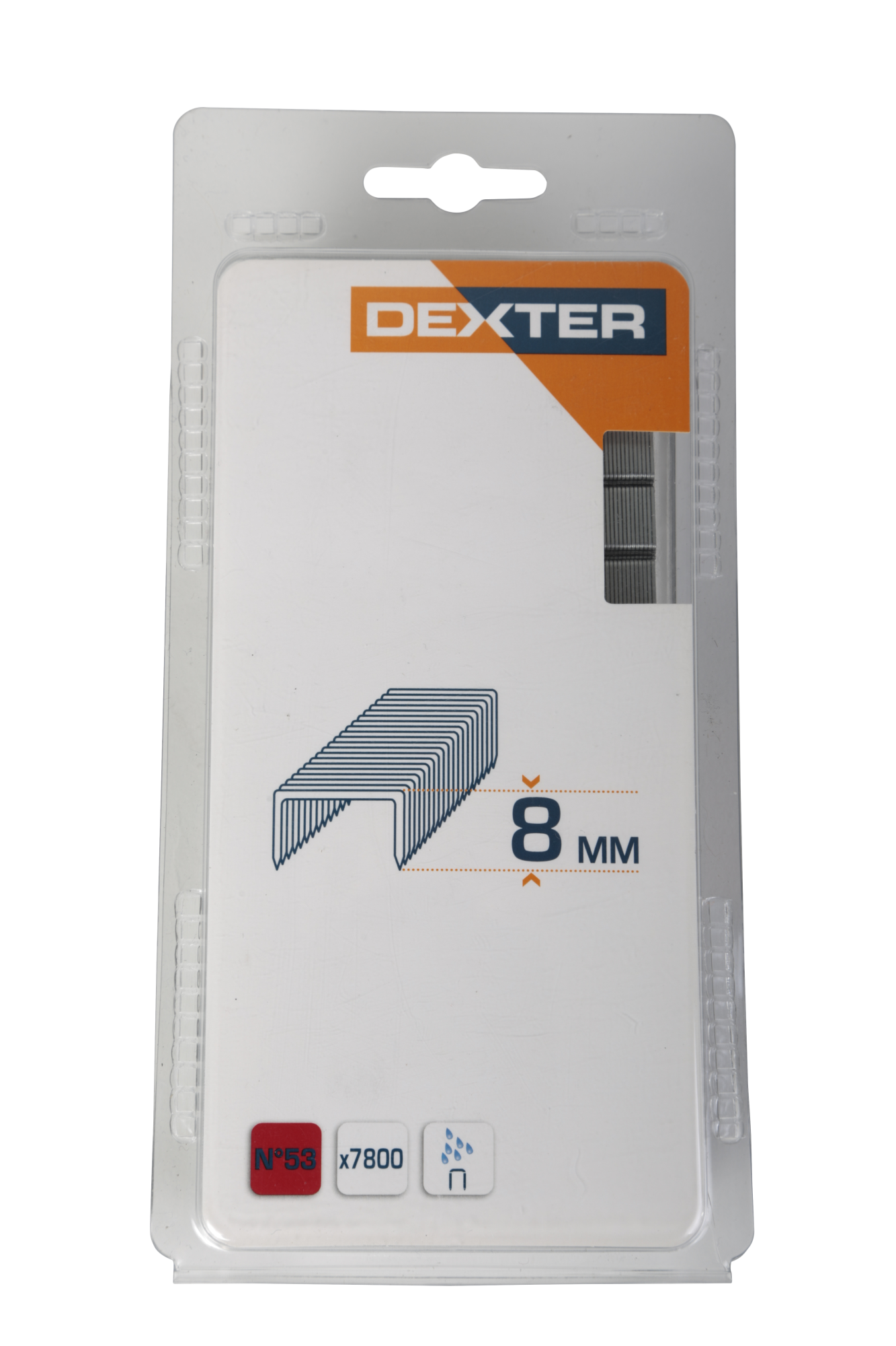 Clip DEXTER N53 L 10 mm H 0.8 cm 7800 pezzi | Leroy Merlin