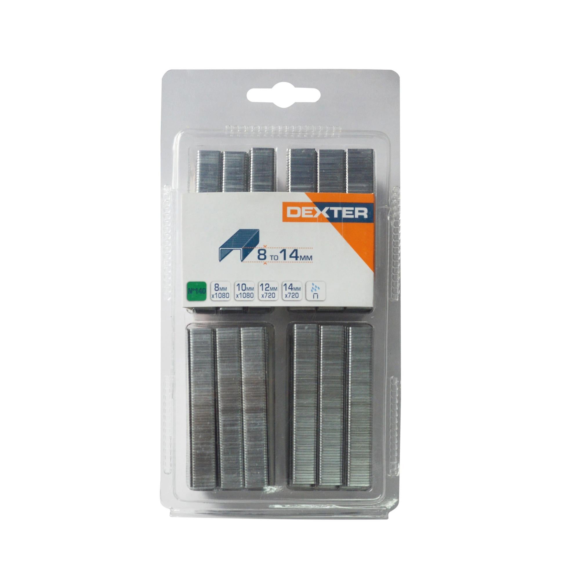 Graffa DEXTER L 10.6 mm H 0.8 cm 3600 pezzi | Leroy Merlin