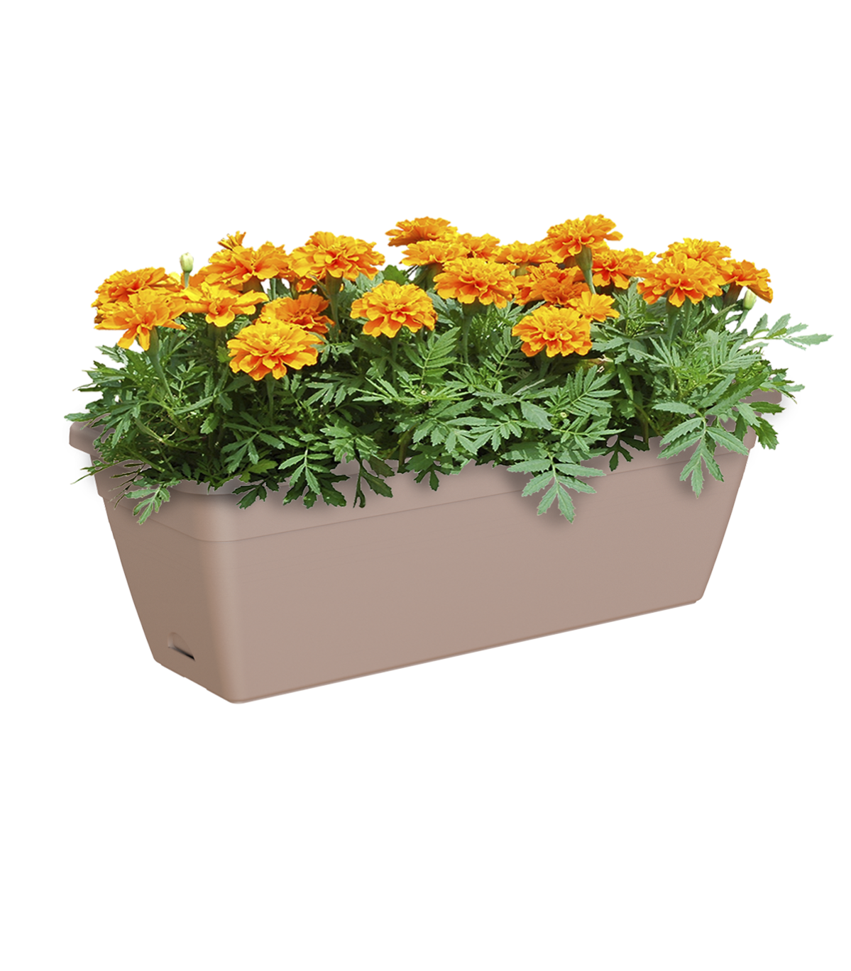 Vaso da fiori con riserva d'acqua tortora rettangolare 59 x 16.6 cm ...