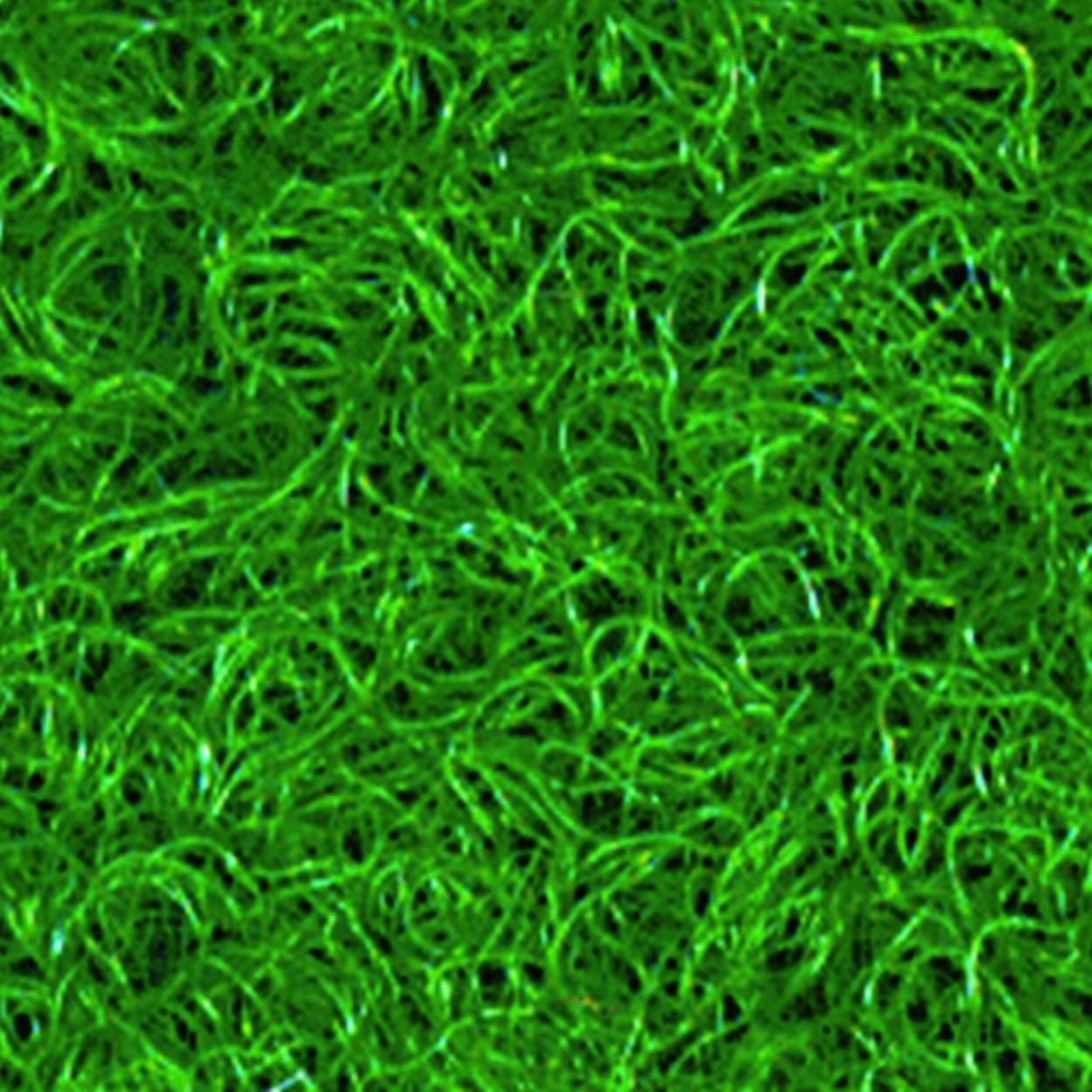 Moquette tufting velluto verde Giardinetto H 2 m | Leroy Merlin
