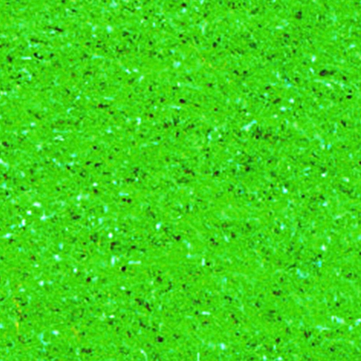 Moquette tessuto piatto verde Magic L H 2 m | Leroy Merlin