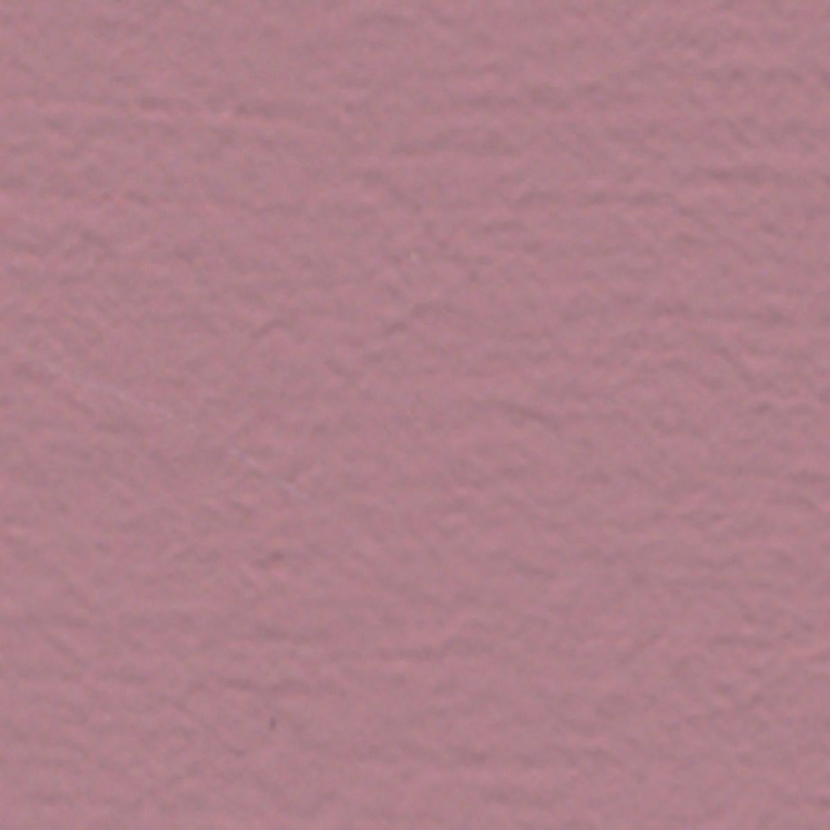 Colore acrilico FLEUR Elegant rose 0.13 L rosa opaco | Leroy Merlin