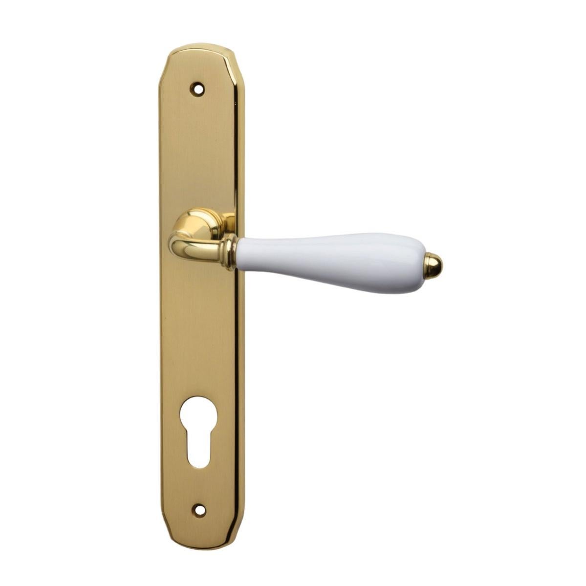 Maniglia con placca GHIDINI ELITE in ottone oro lucido cromato | Leroy ...