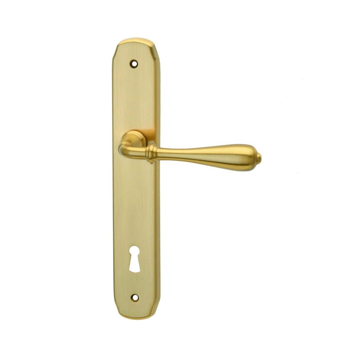 Maniglia con placca GHIDINI Novecento in ottone oro | Leroy Merlin