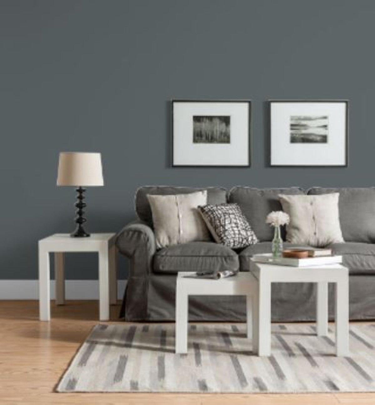 Pittura murale Lavabile MAX MEYER HOME COLOR smoke 0.08 L - 1