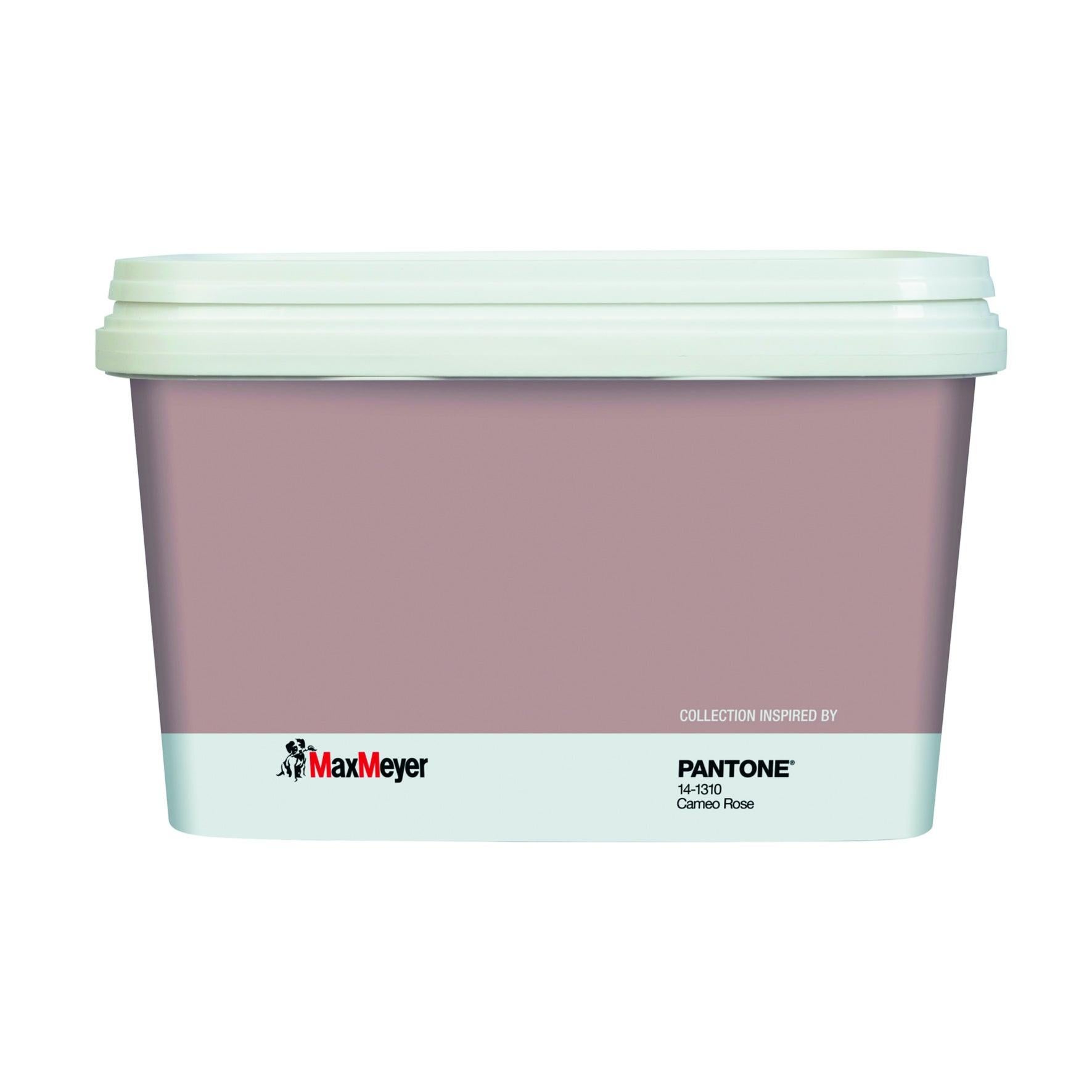 Pittura per interni, MAX MEYER PANTONE cameo rose opaco, 2 L | Leroy Merlin