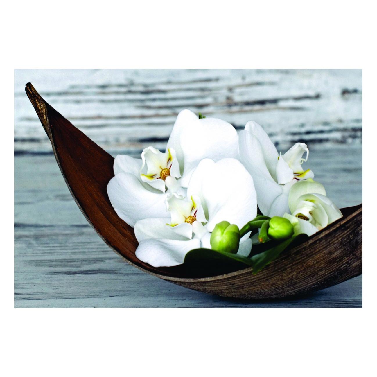 Stampa su tela Canvas assortiti 35x24 cm | Leroy Merlin