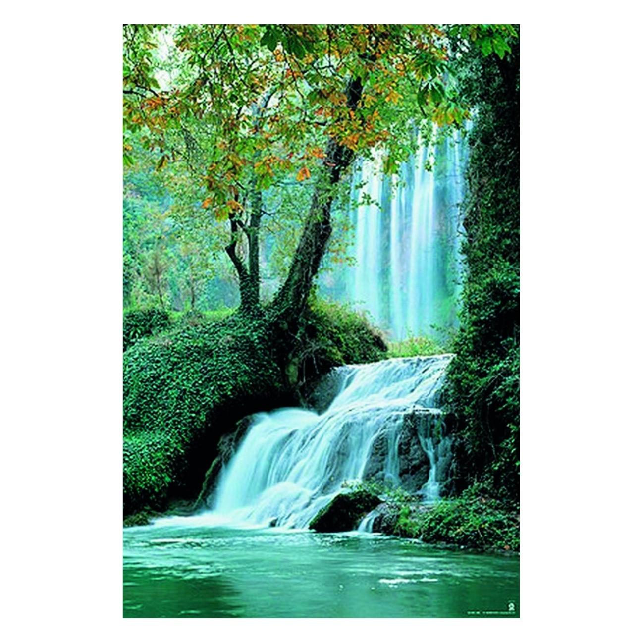 Poster Cascate Piedra 61x91.5 cm | Leroy Merlin