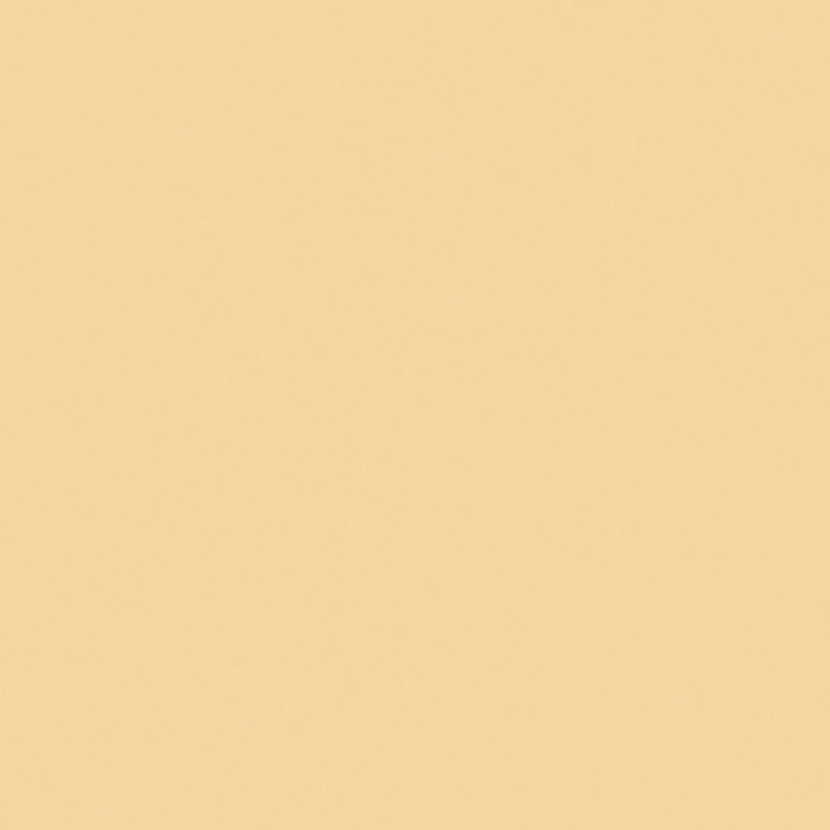Pellicola Plastica adesiva beige 0.45x2 m | Leroy Merlin