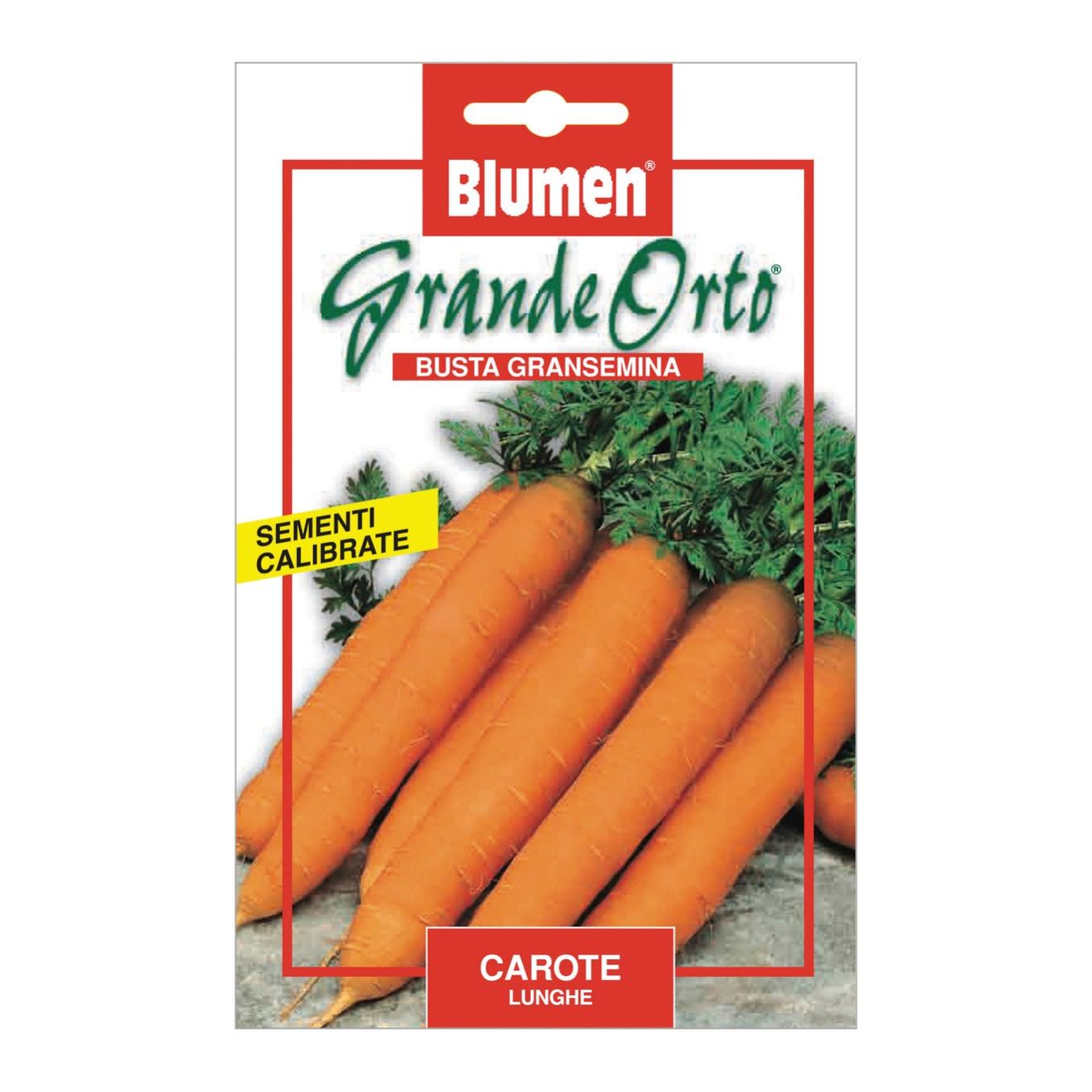 Seme per orto Carota Lunga | Leroy Merlin