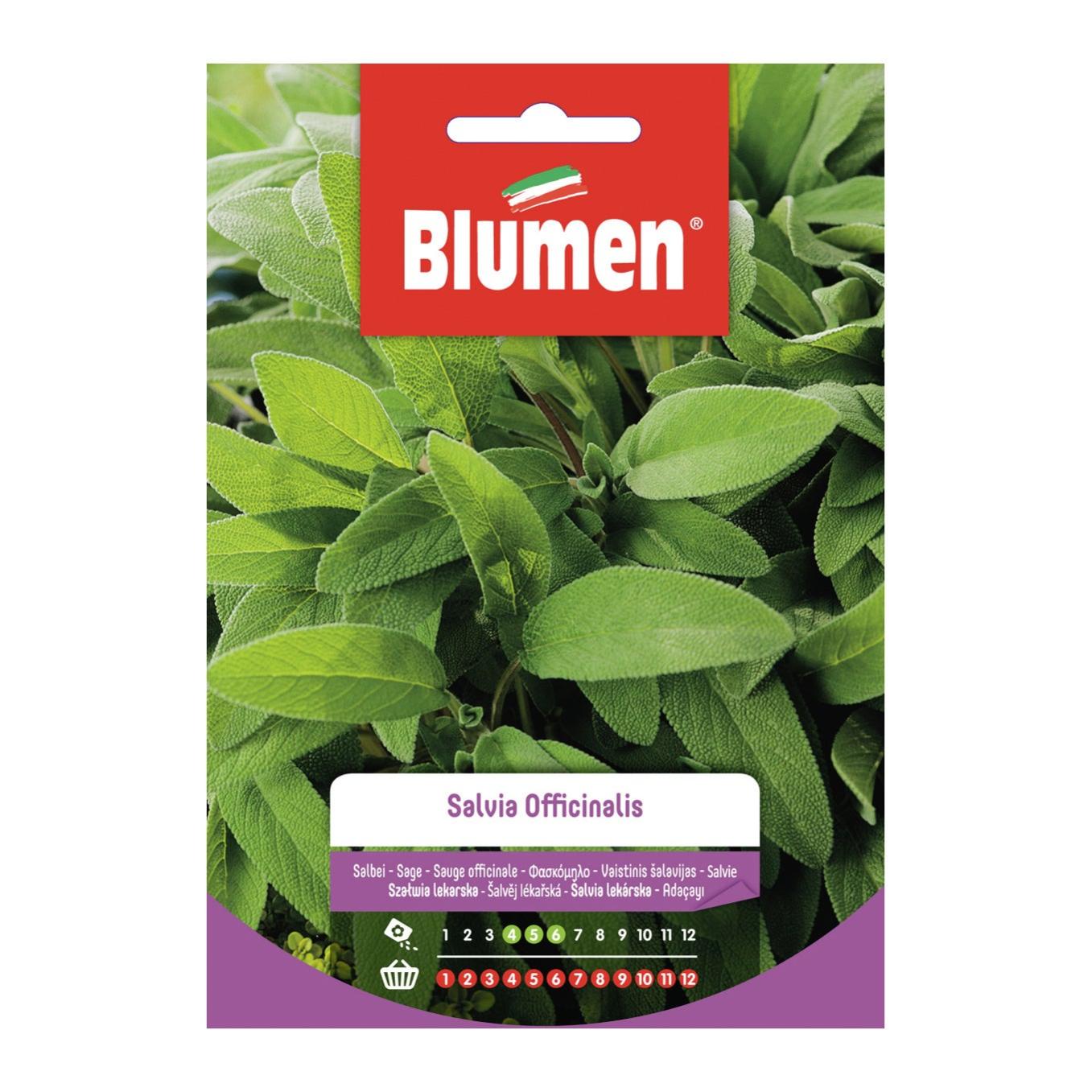 Seme per orto Officinalis | Leroy Merlin