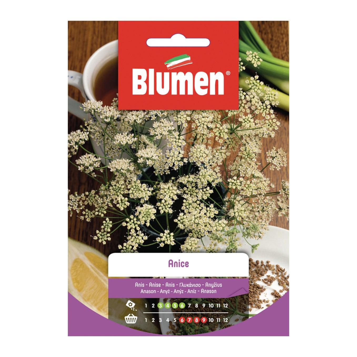 Seme per orto Anice | Leroy Merlin