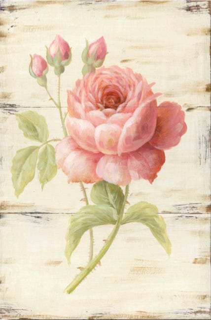 Quadro Stampa Incorniciato Su Legno Peonie Rosa 20 5x30 5 Cm Leroy Merlin