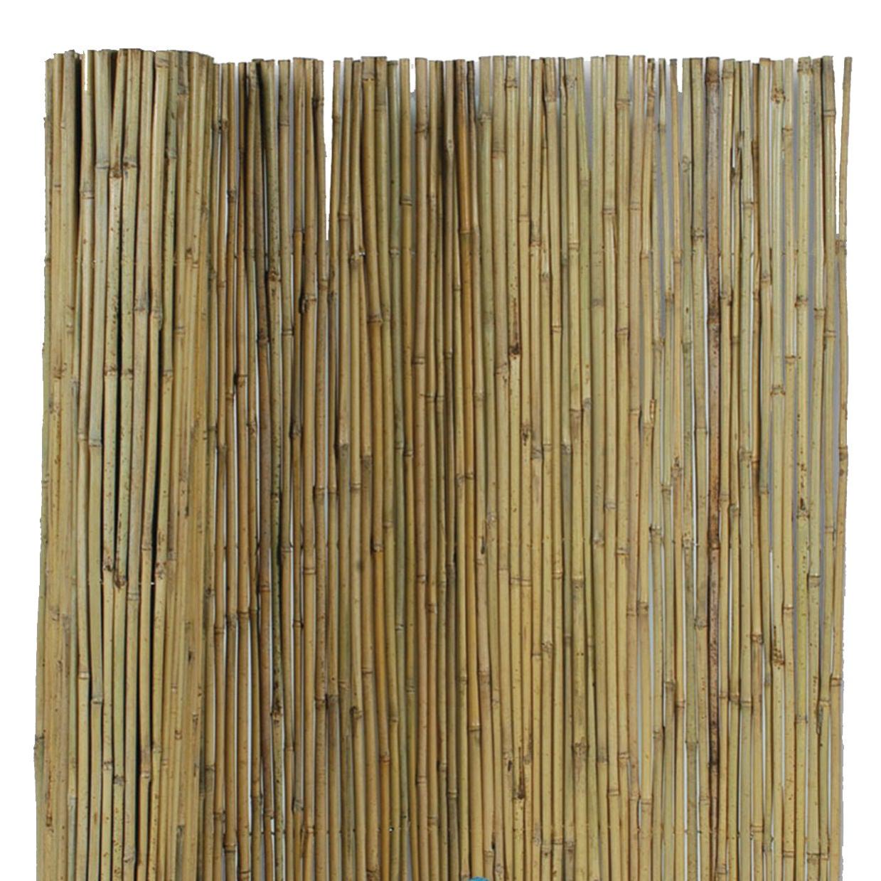 Arella bambù L 3 x H 1.5 m | Leroy Merlin