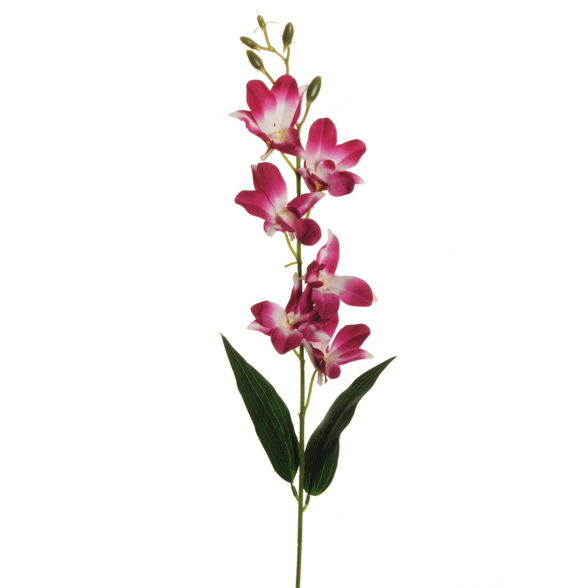 Pianta artificiale Orchidea Piccola H 60 | Leroy Merlin
