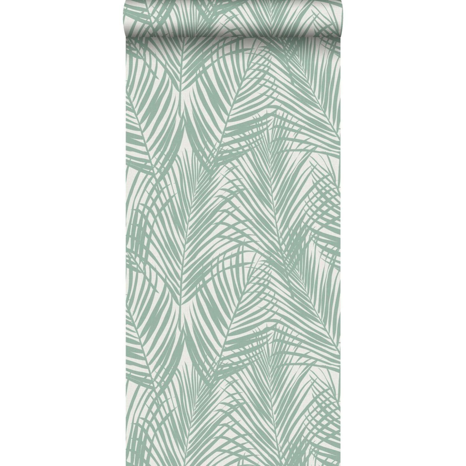 Carta da parati Jungle Foglie Palma verde menta, 53 cm x 10.05 m ...