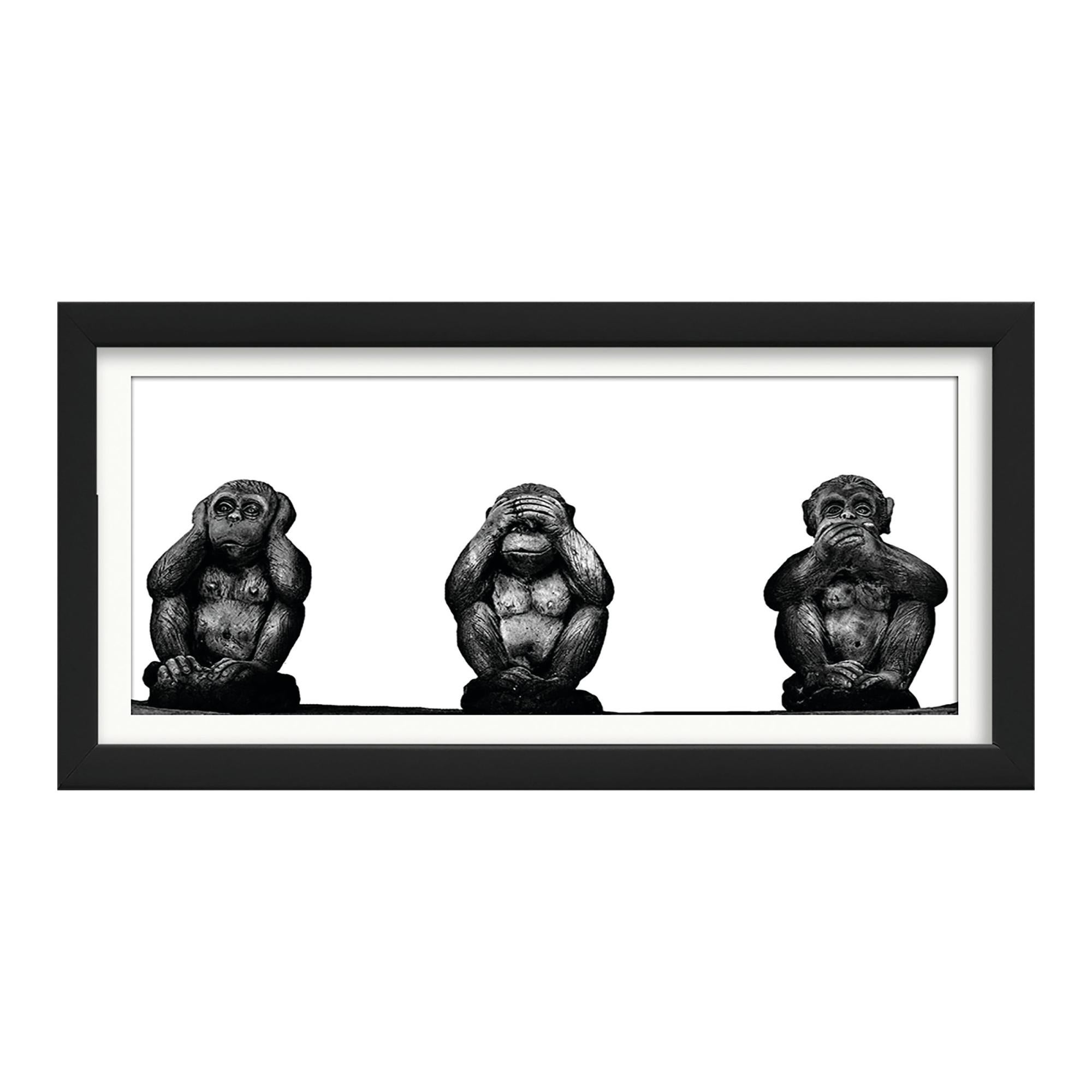 Stampa incorniciata Nro Tre Scimmiette 80x40 cm | Leroy Merlin