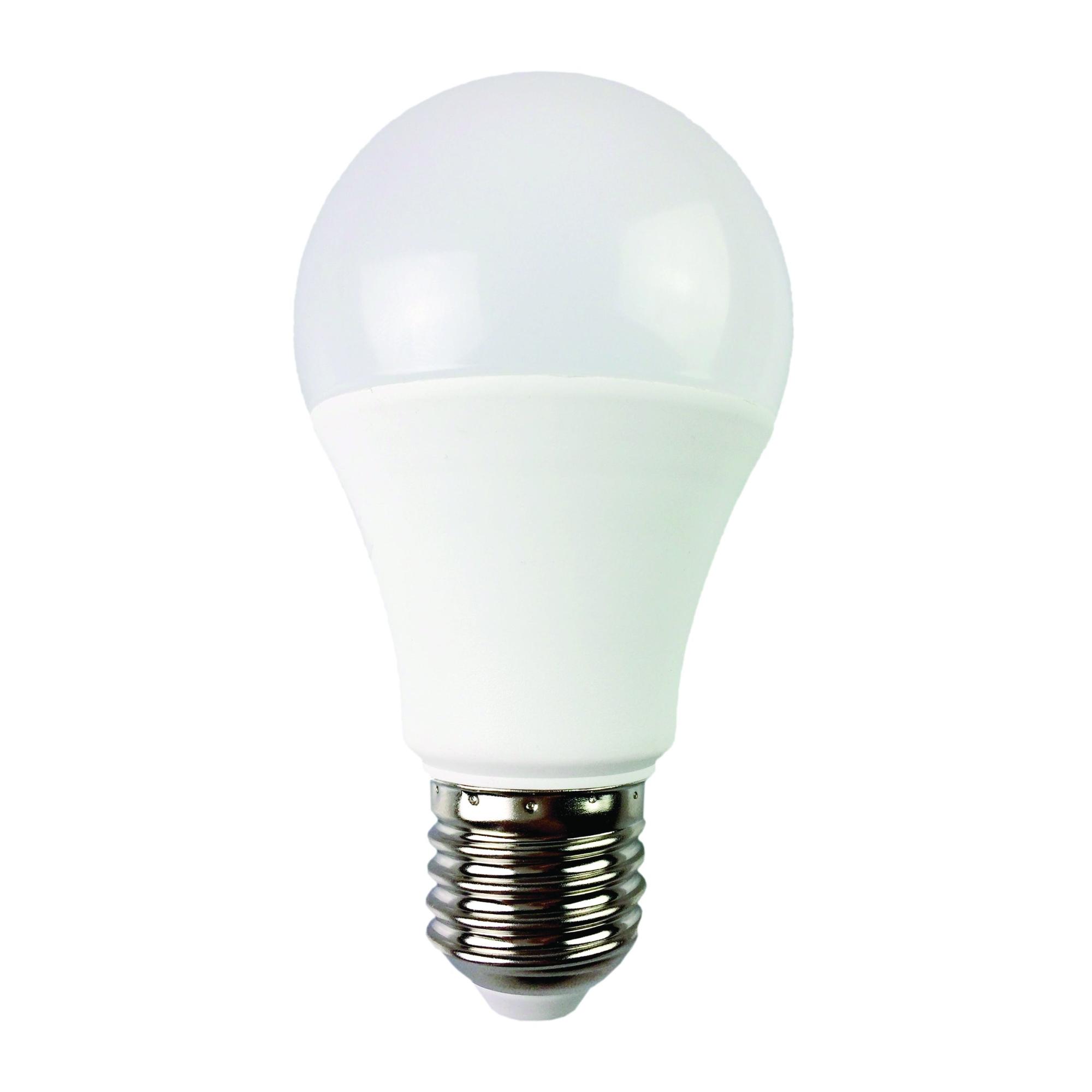Lampadina LED, E27 sferico, opaco, luce fredda, 10W= 800LM (equiv 82 W), 240° , INTEC | Leroy Merlin