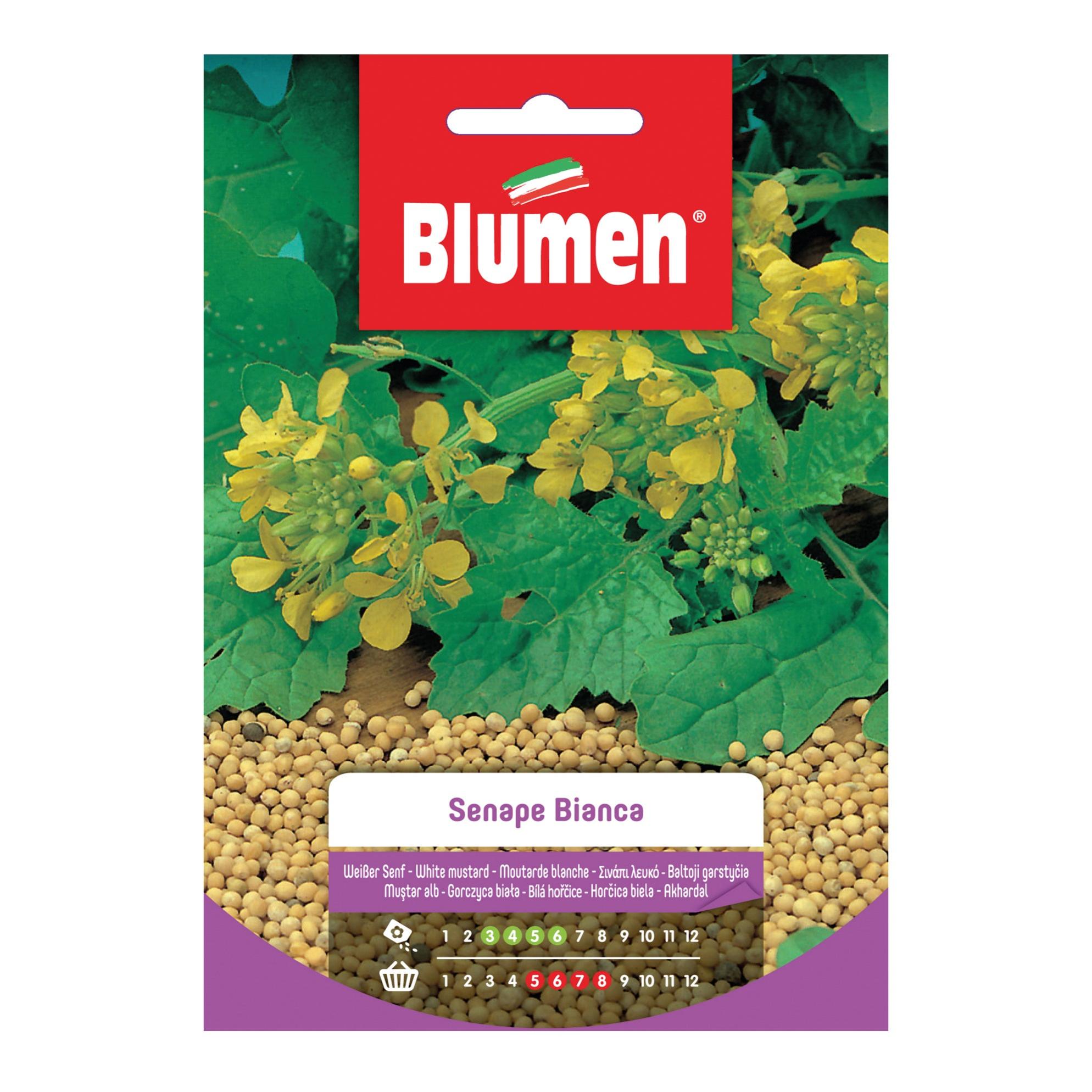 Seme per orto Senape | Leroy Merlin