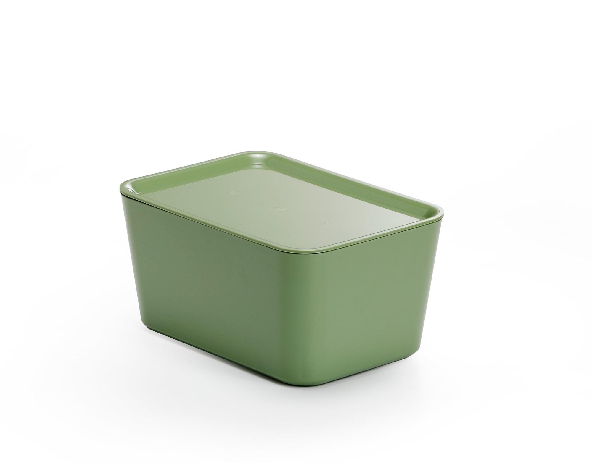 Contenitore R-Box L 17 x H 8 x P 13 cm verde | Leroy Merlin