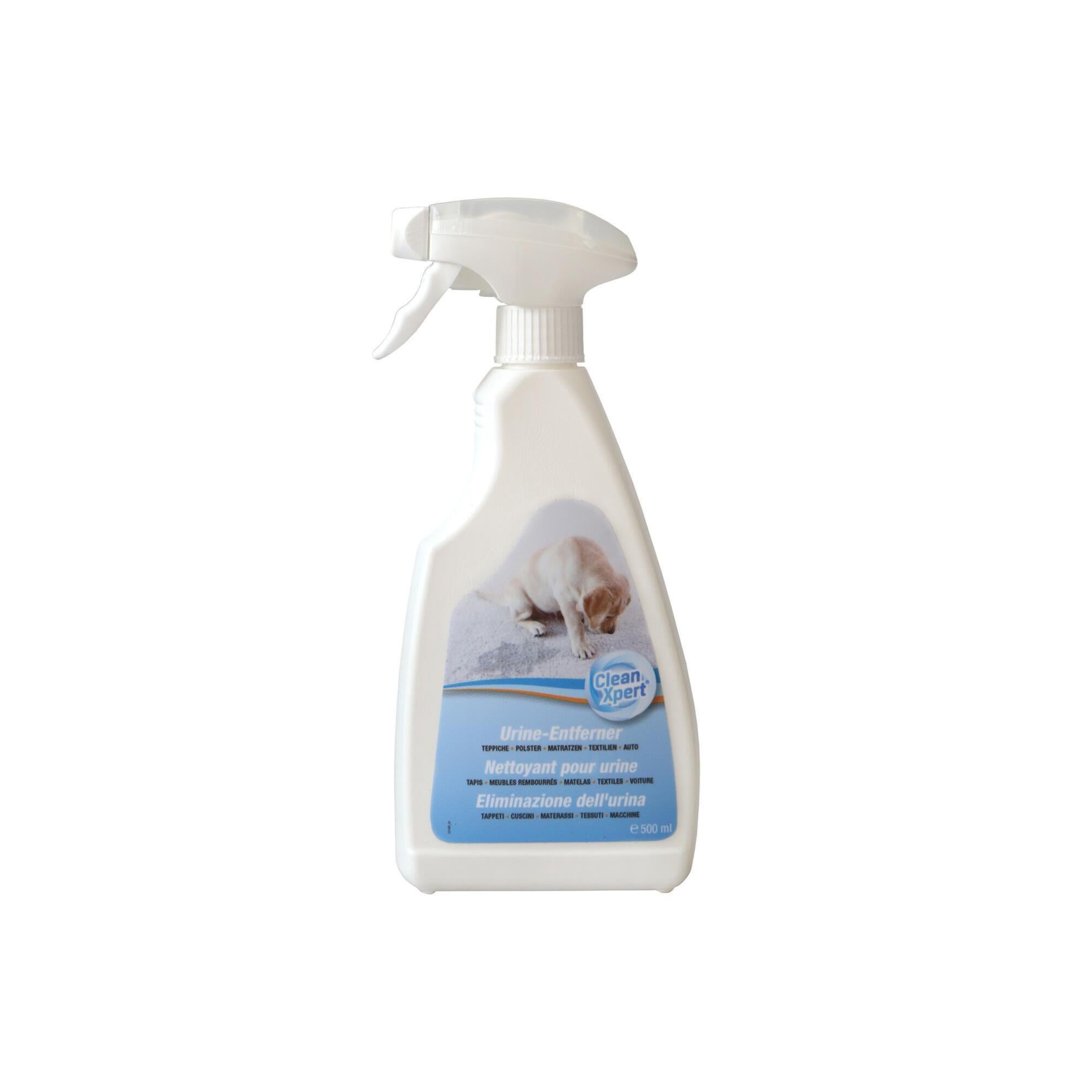 Detergente CleanXpert elimina urina 0.5 L | Leroy Merlin