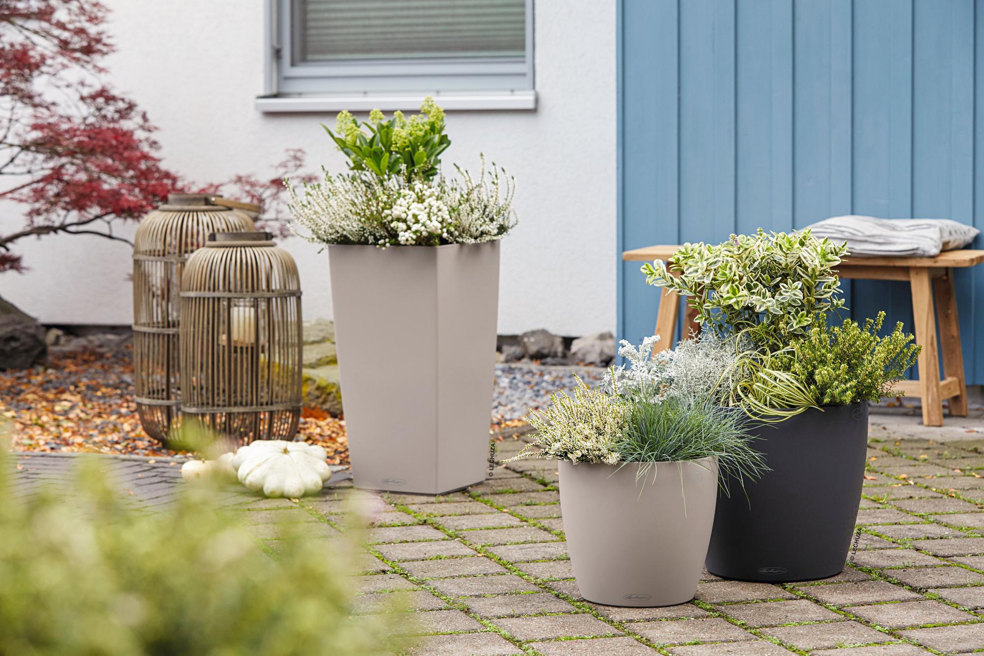 Vaso Cubico Color 40 in plastica colore marrone H 75 | Leroy Merlin