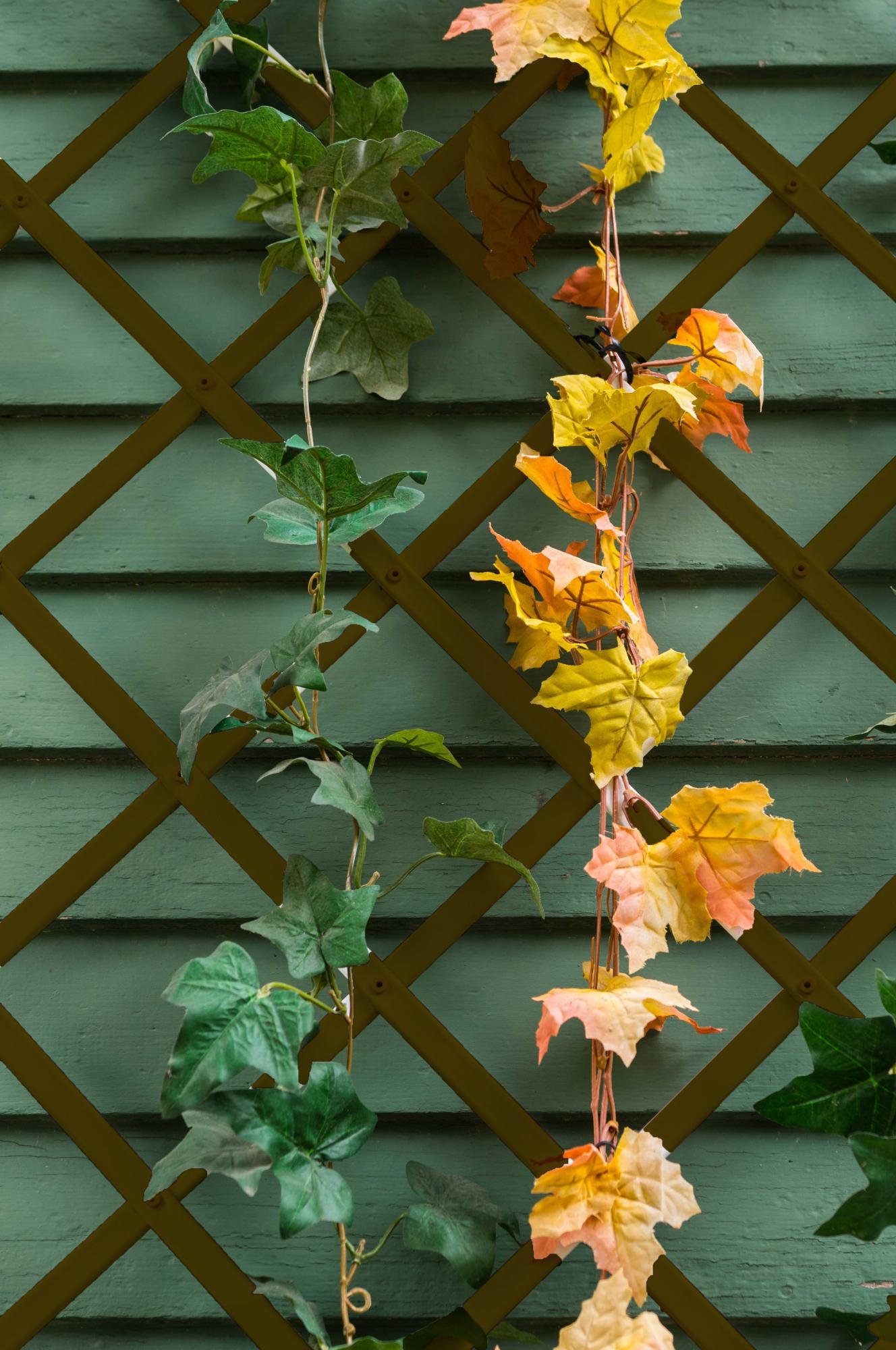 Traliccio estensibile in legno / plastica L 100 x H 100 cm , spessore 5 ...