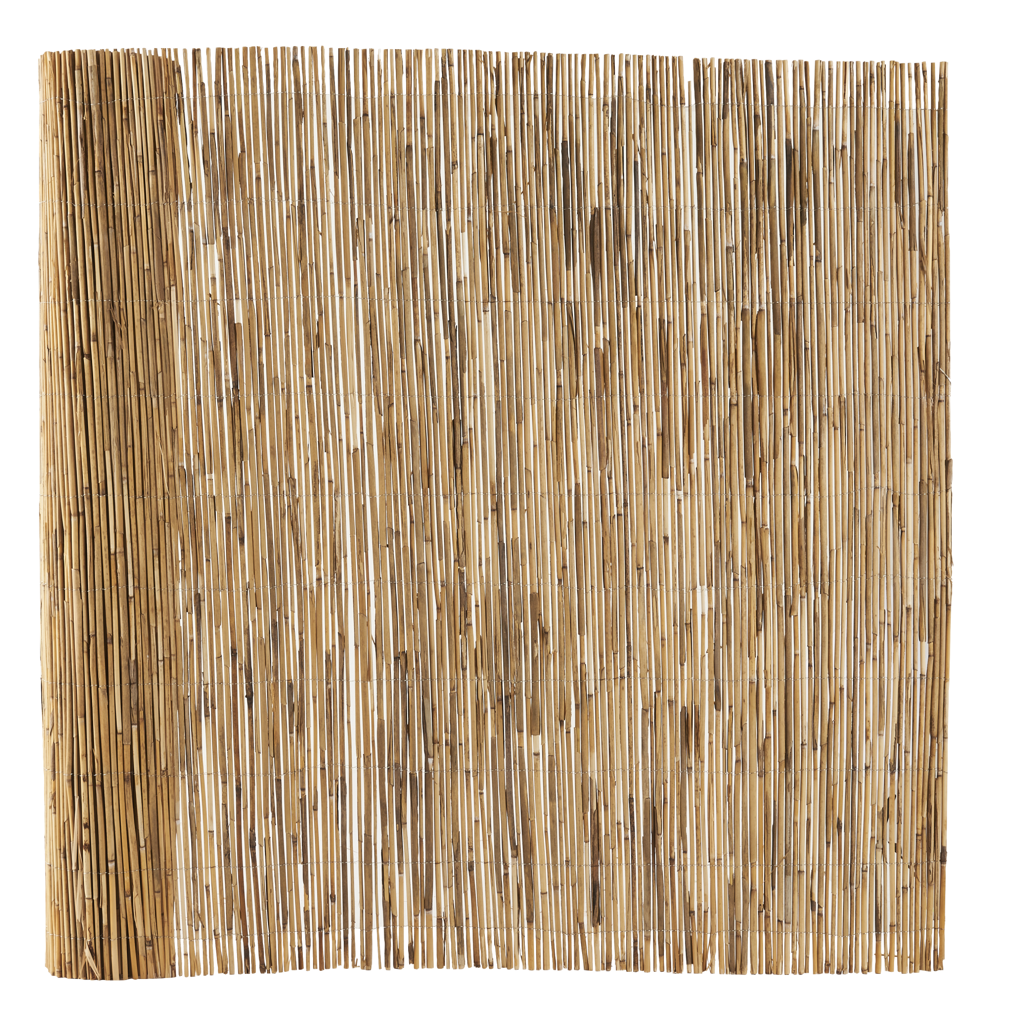 Occultazione naturale monovista NATERIAL L 3 x H 1.5 m | Leroy Merlin