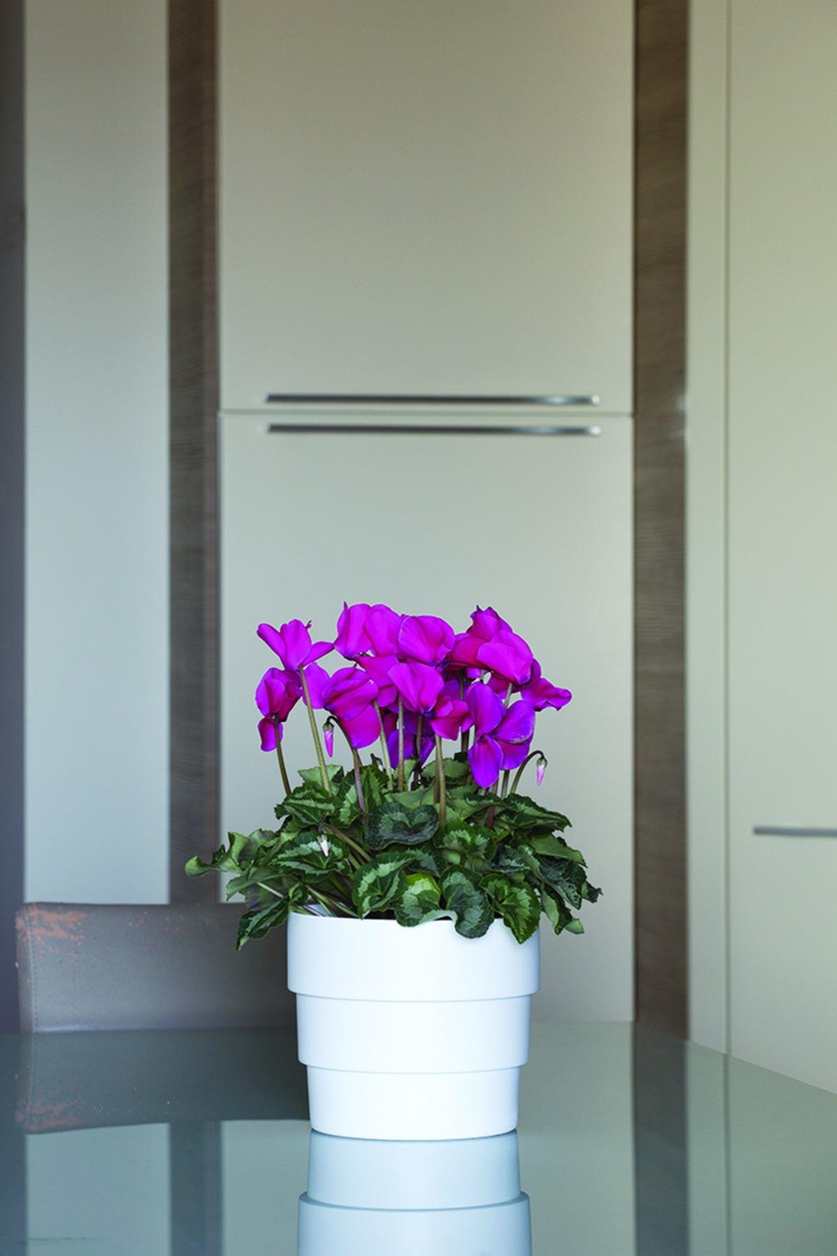 Vaso 282/19B ALMAS S.A. in ceramica colore BIANCO H 16 cm, L 19.5 x P ...