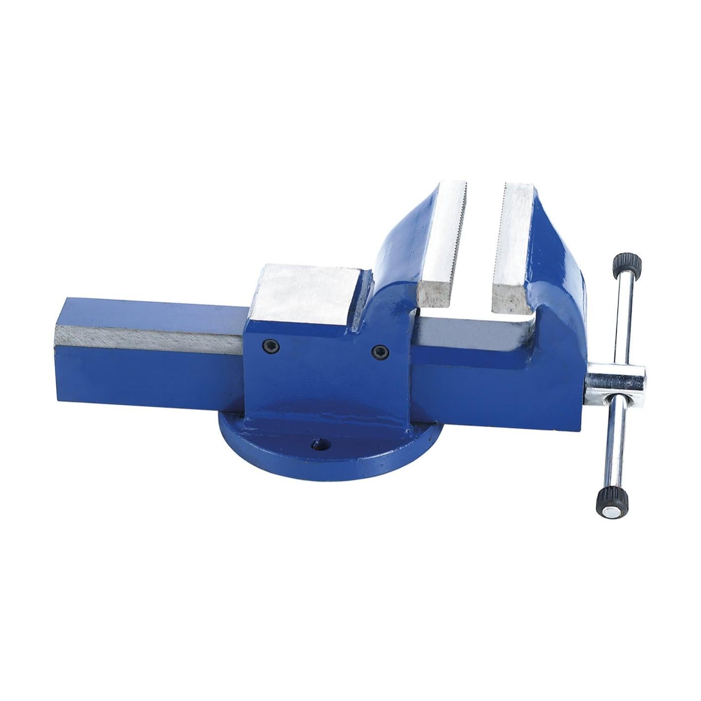 Morsa fisso FERVI 0036 100 mm | Leroy Merlin