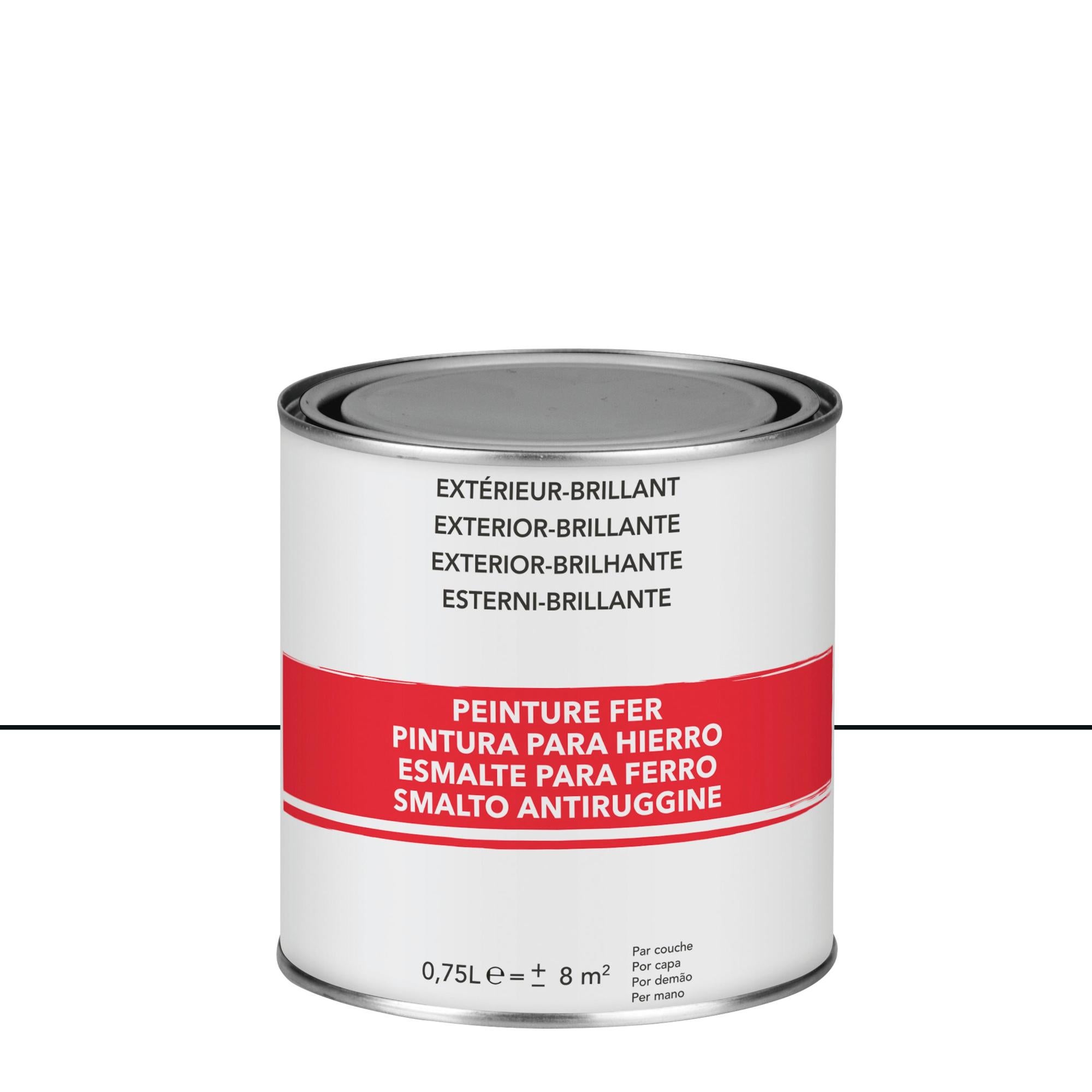 Vernice da esterno antiruggine per ferro bianco, 0.75 L | Leroy Merlin