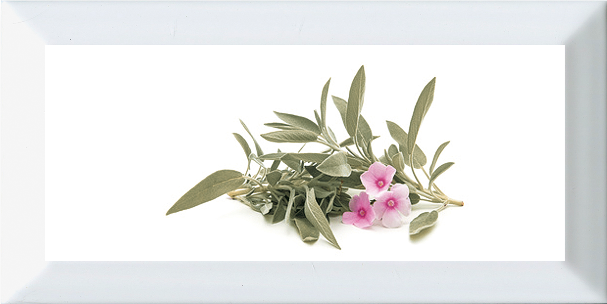 Dekor METRO ZIOŁA A 10 X 20 CREATIVE CERAMIKA - Leroy Merlin