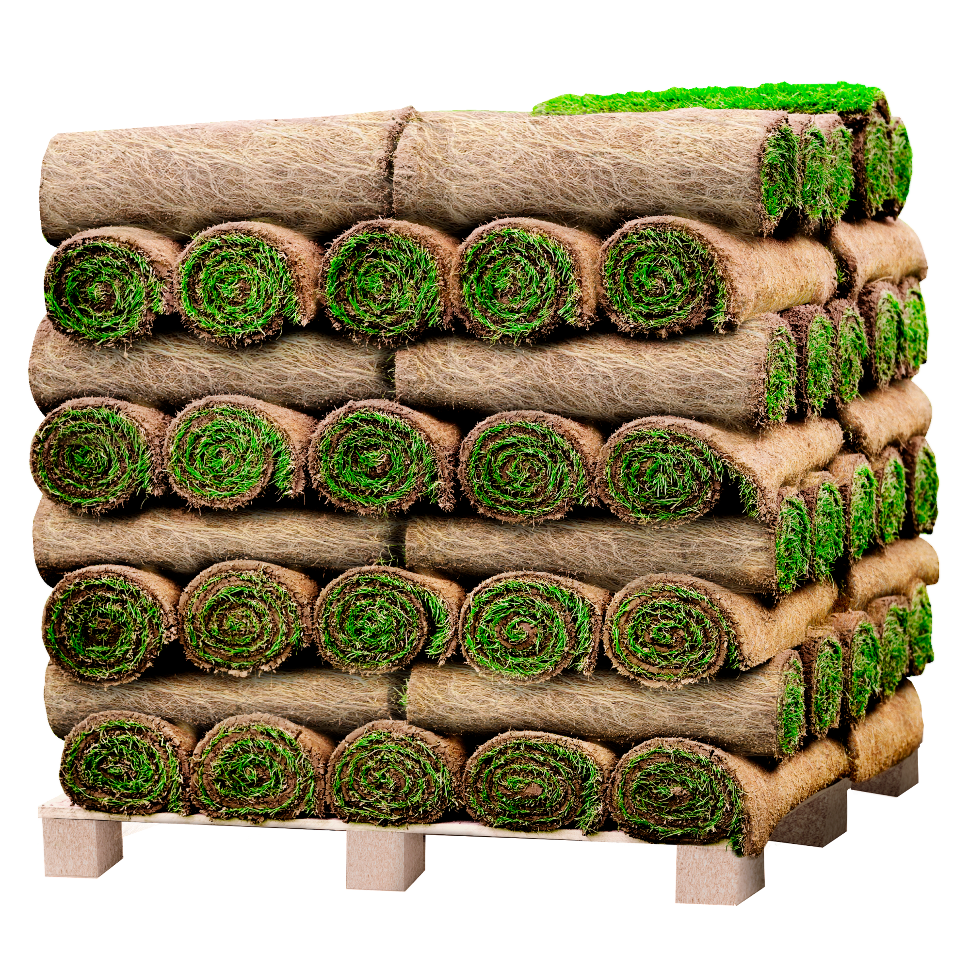 Trawa z rolki - Leroy Merlin