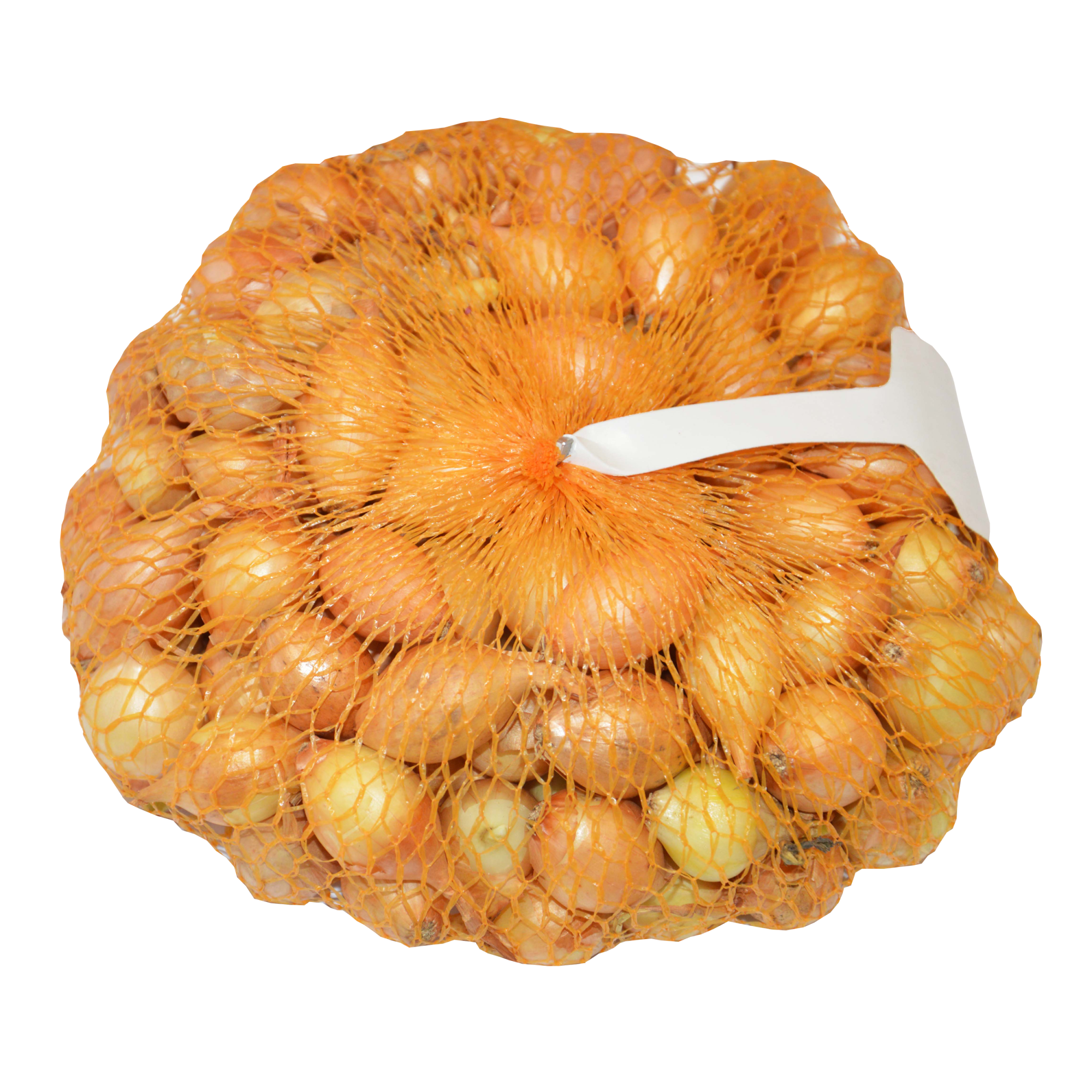 Cebula dymka Crusado 500g cebulki warzyw W. Legutko - Leroy Merlin