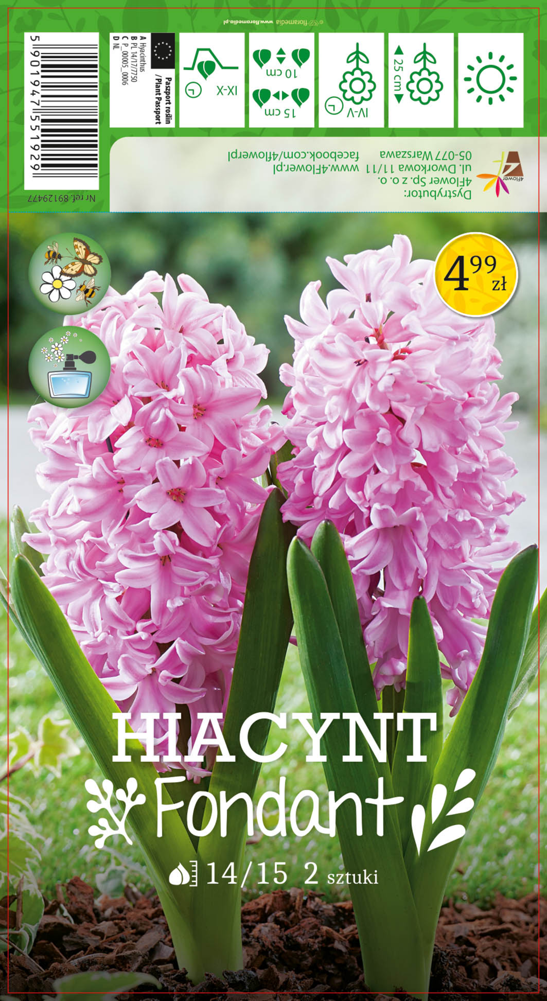 Hiacynt Fondant 2szt. cebulki kwiatów - Leroy Merlin