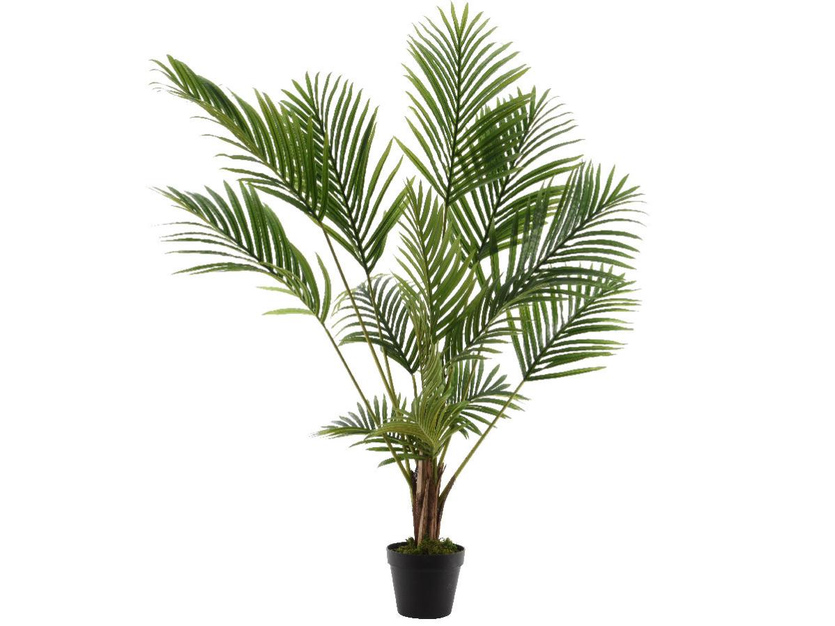 Pianta Palma in plastica con vaso 50x50x125h cm | Leroy Merlin