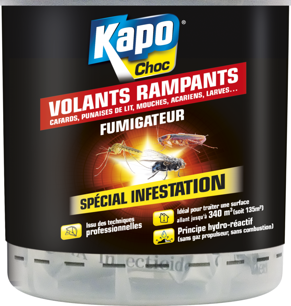 KAPO Insetticida fumogeno per tutti gli insetti, 0,34 l | Leroy Merlin