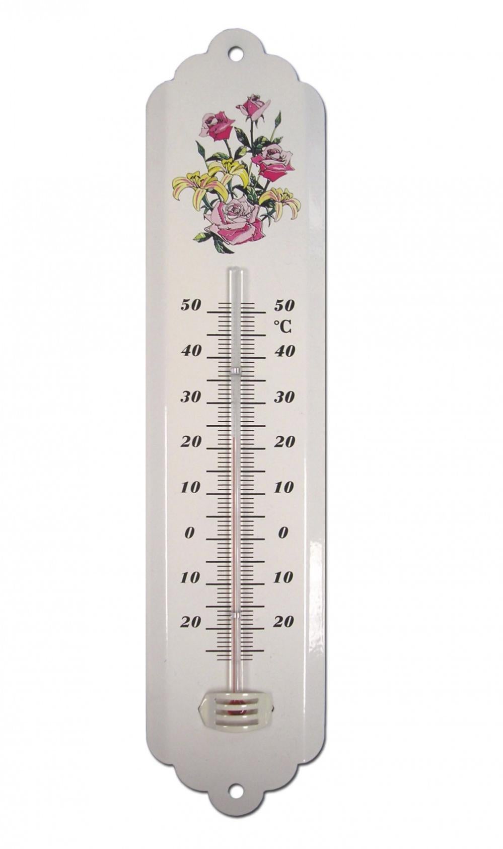 Termometro da interno o da esterno INOVALLEY 4930 | Leroy Merlin