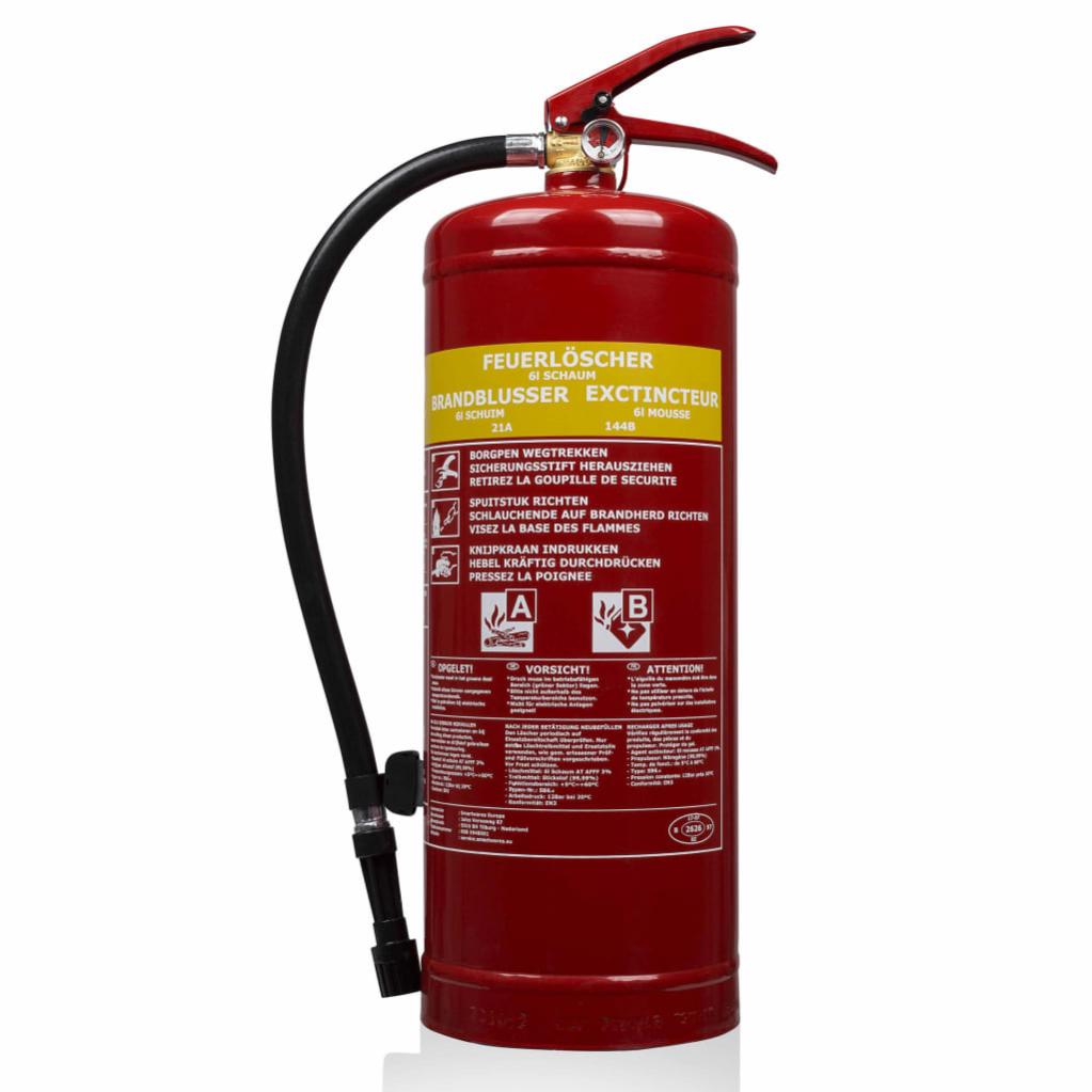 Smartwares Extintor de espuma SB6 6 L clase AB acero 10.015.05 | Leroy ...