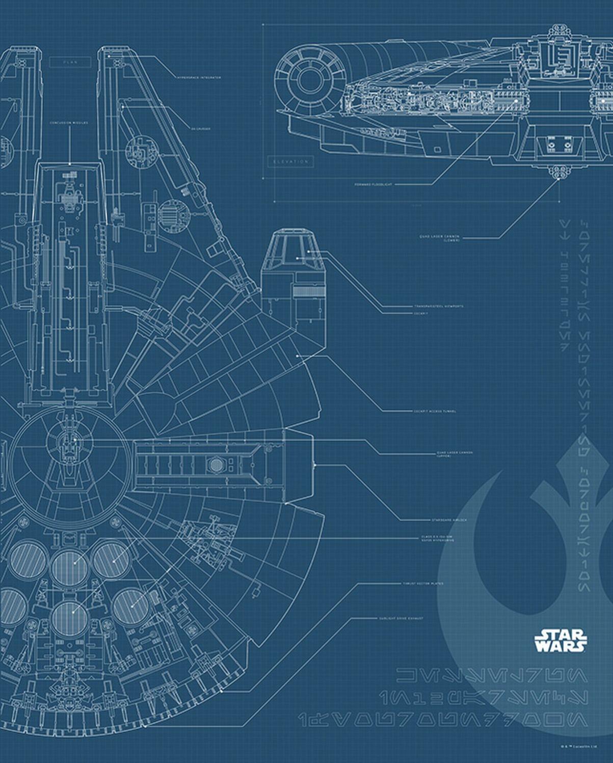 Poster Star Wars Blueprint Falcon blu scuro - 40 x 50 cm - Sanders ...