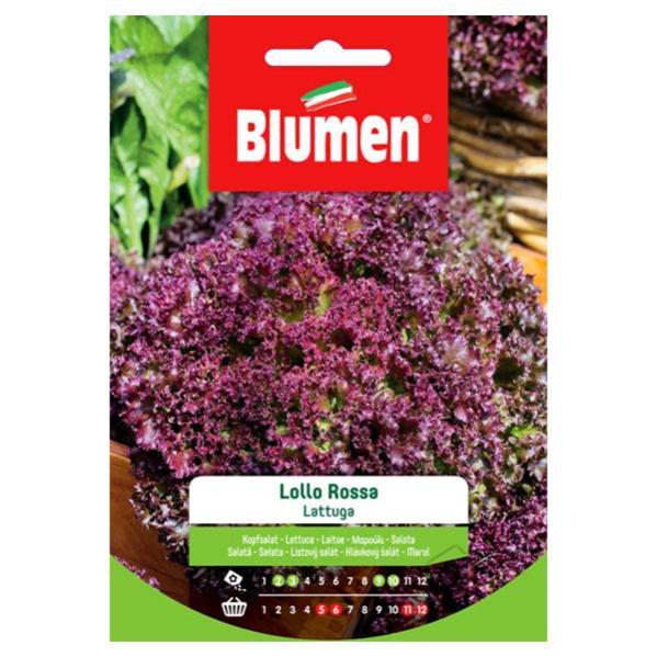 Semi Lattuga Lollo Rossa | Leroy Merlin