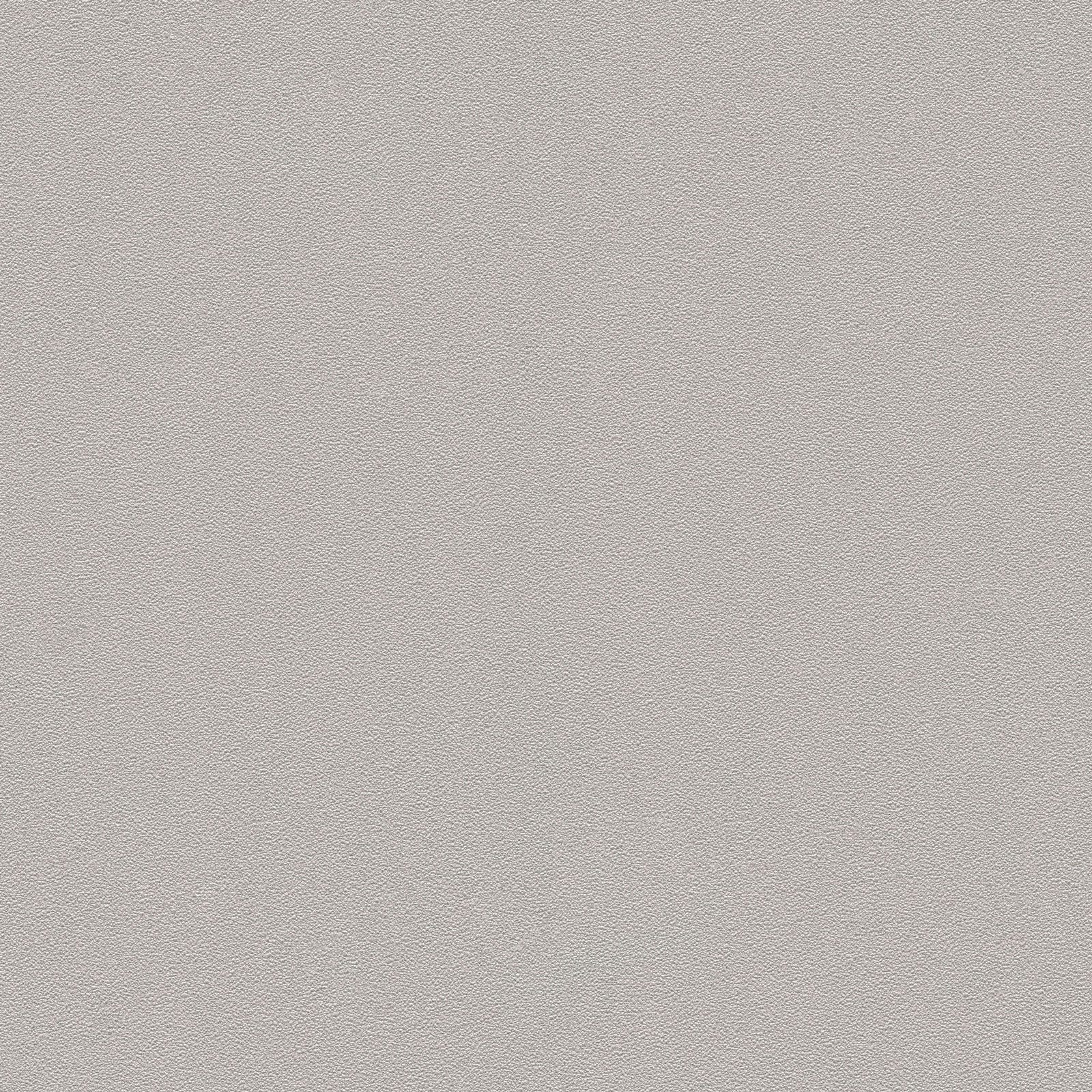 Carta da parati a tinta unita grigia Carta da parati tessuto non ... Carta da parati a tinta unita grigia Carta da parati tessuto non ...