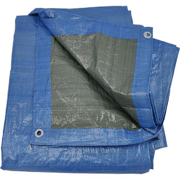 LIF 606791 Telone Occhiellato mt 5x6 80 Gr/Mq. - 606791 | Leroy Merlin